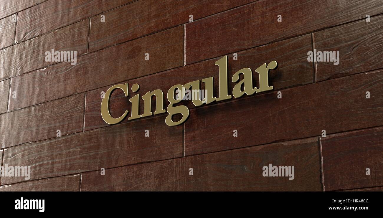 Cingular - Bronze plaque mounted on maple wood wall - 3D rendered ...