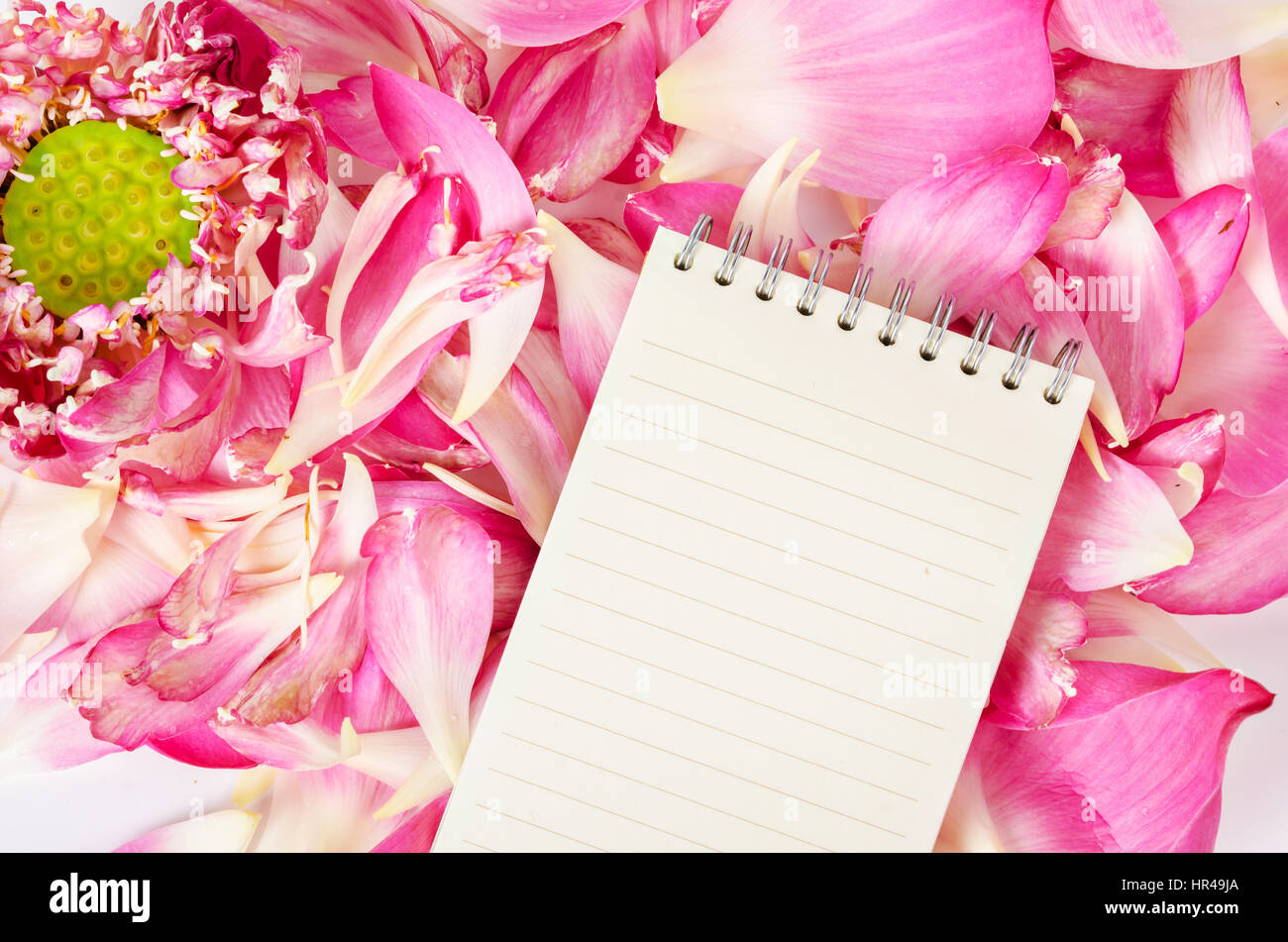 Open blank diary on blooming pink lotus flower background, ready for ...