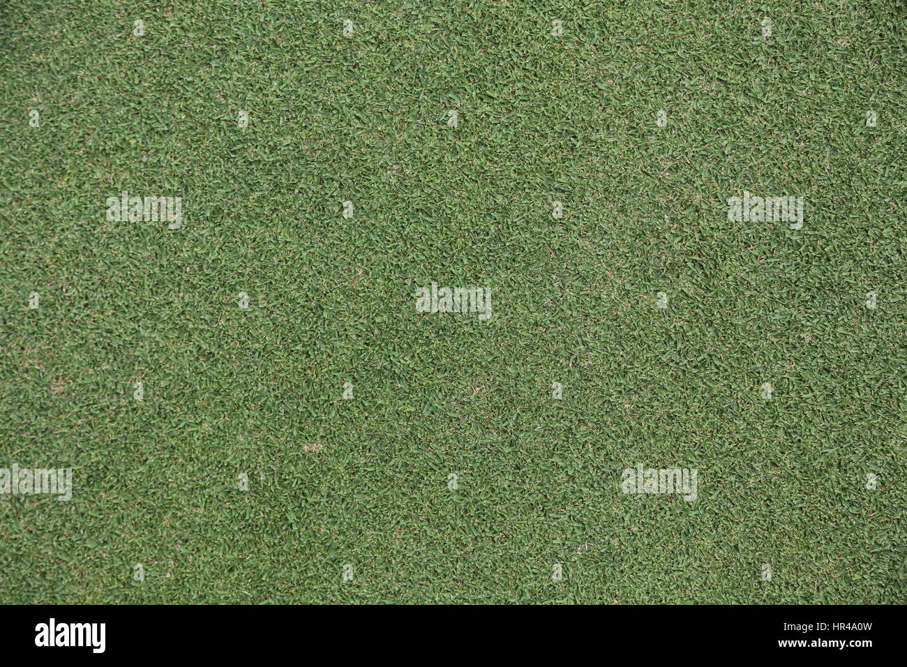 Grassy ground texture hi-res stock photography and images - Alamy