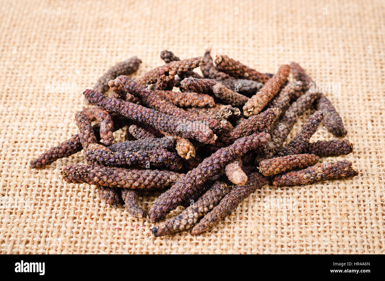 Long pepper piper longum hi-res stock photography and images - Alamy