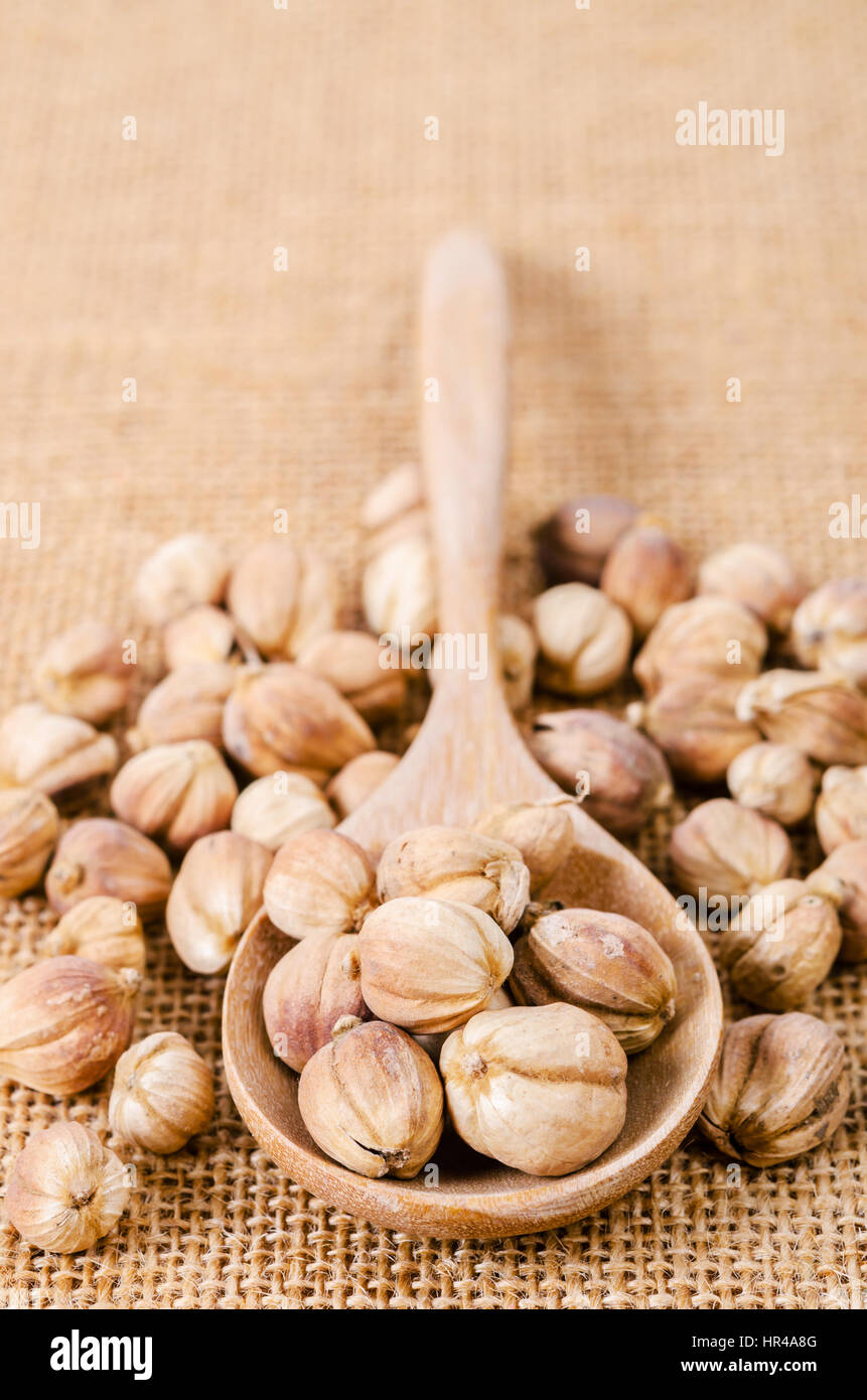 Best Cardamom, Camphor, Clustered Cardamom, Siam Cardamom(Amomum verum ...