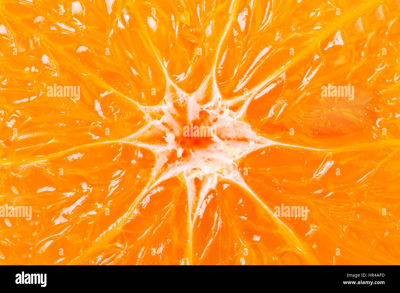 Orange background from slice of an orange fruit texture Stock Photo - Alamy