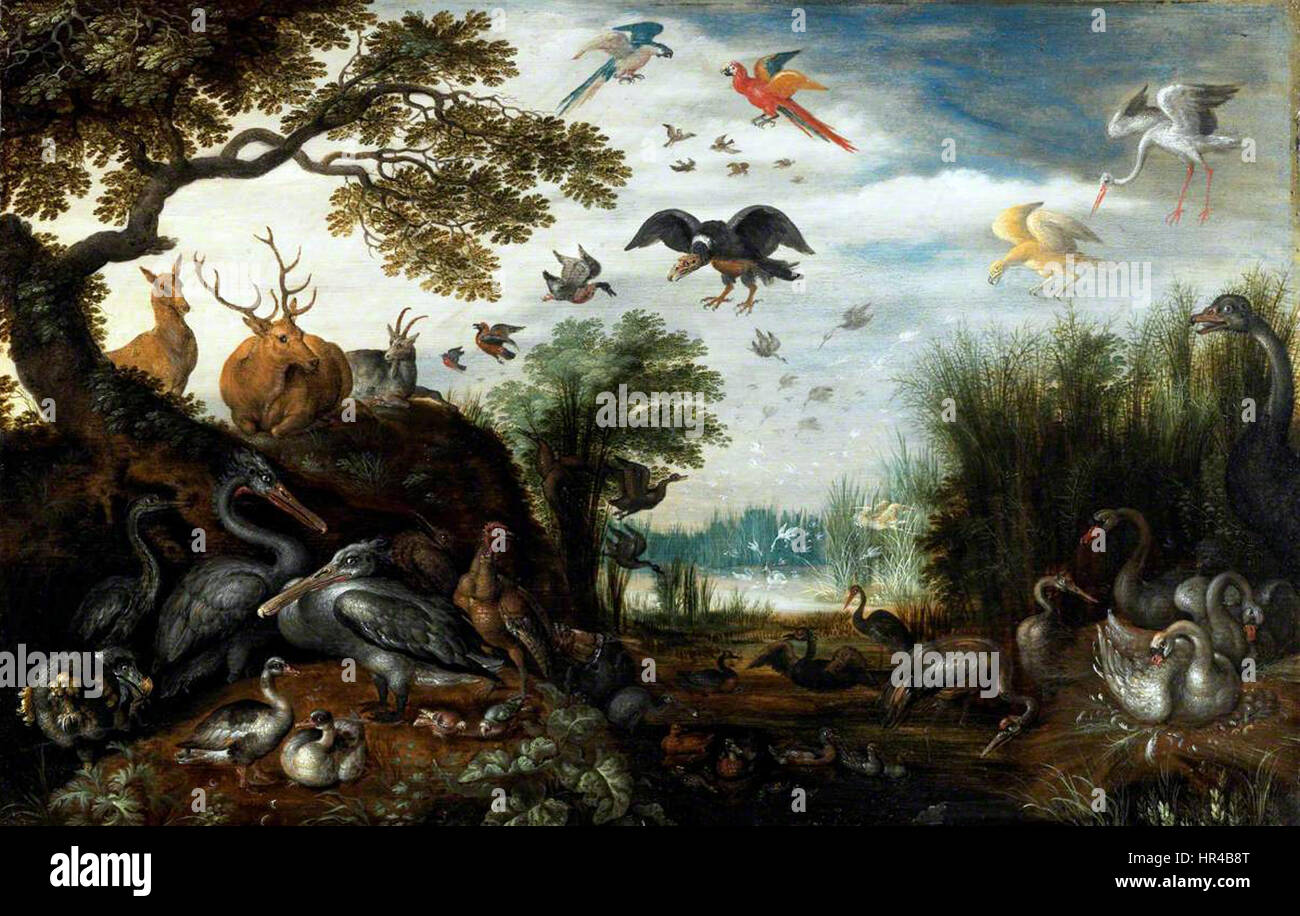 Preening oil hi-res stock photography and images - Alamy