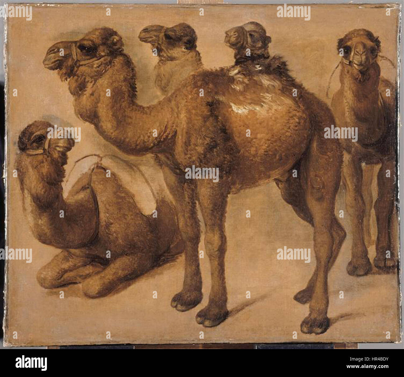 Pieter boel hi-res stock photography and images - Alamy