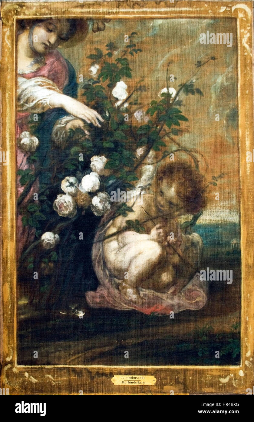 Pitfall hi-res stock photography and images - Alamy