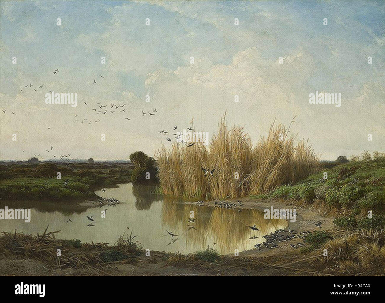 Rondini hi-res stock photography and images - Alamy