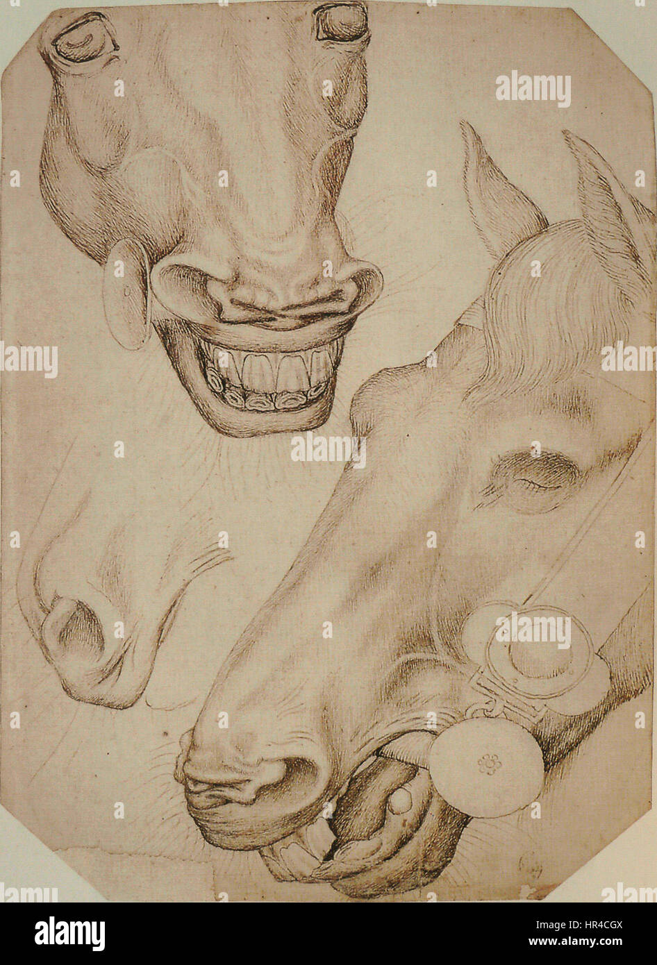 Pisanello’s work in the ‘Codex Vallardi 2354’ features detailed ...