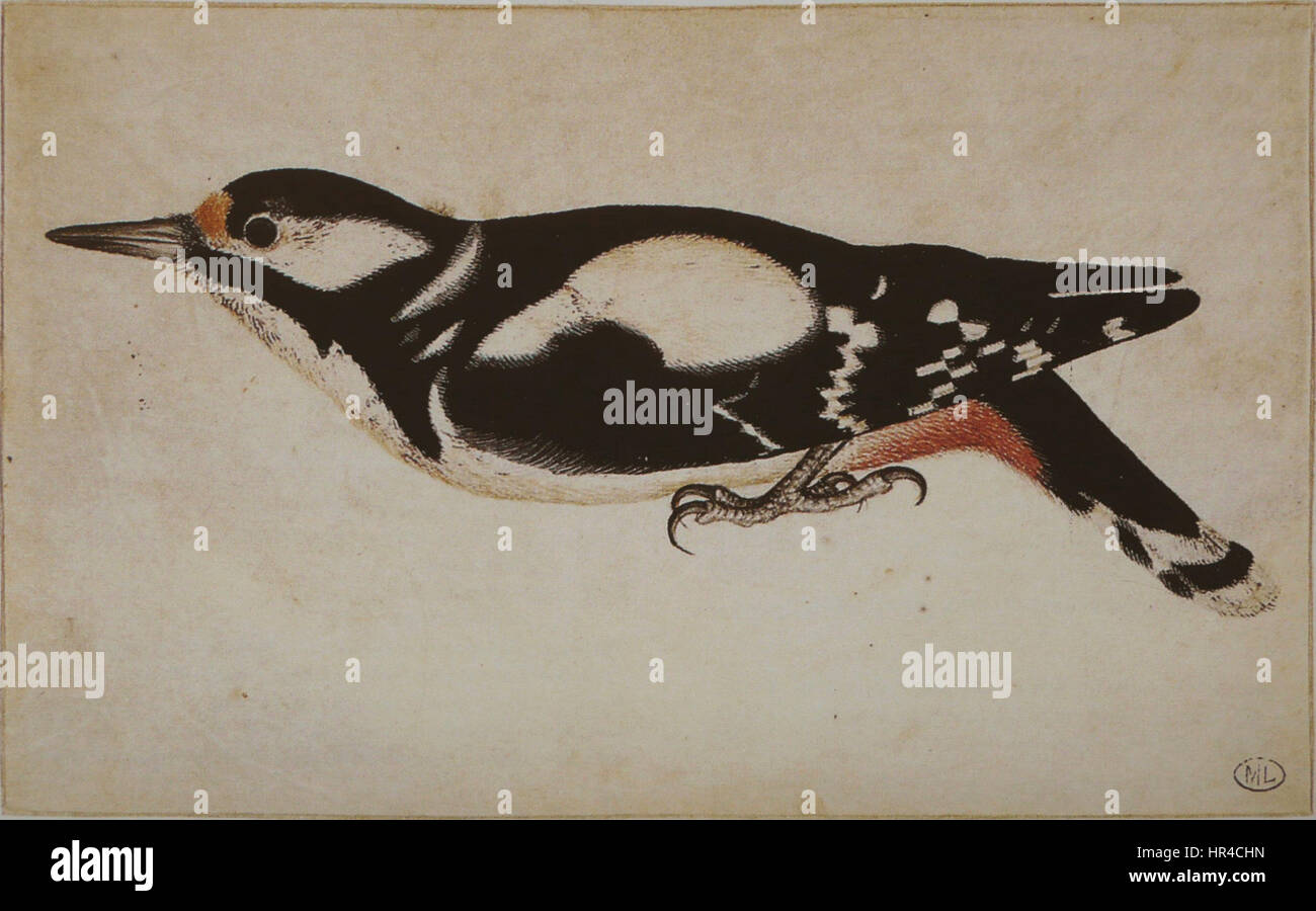 Pisanello’s 'Codex Vallardi 2475' is a manuscript containing ...