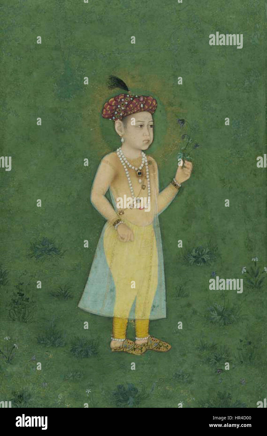 Prince Shah Shuja from the Late Shah Jahan Album, India, Mughal Dynasty ...