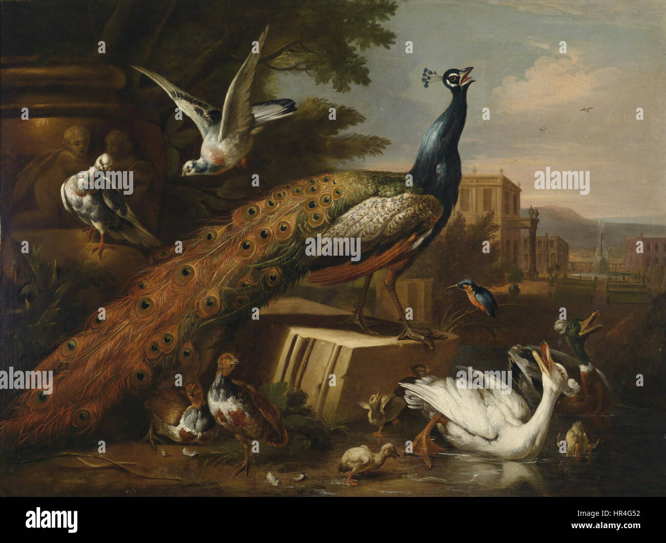 Pieter Casteels III (follower) Pfau Stock Photo - Alamy