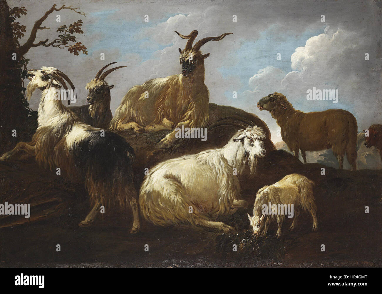 Capre e pecore hi-res stock photography and images - Alamy