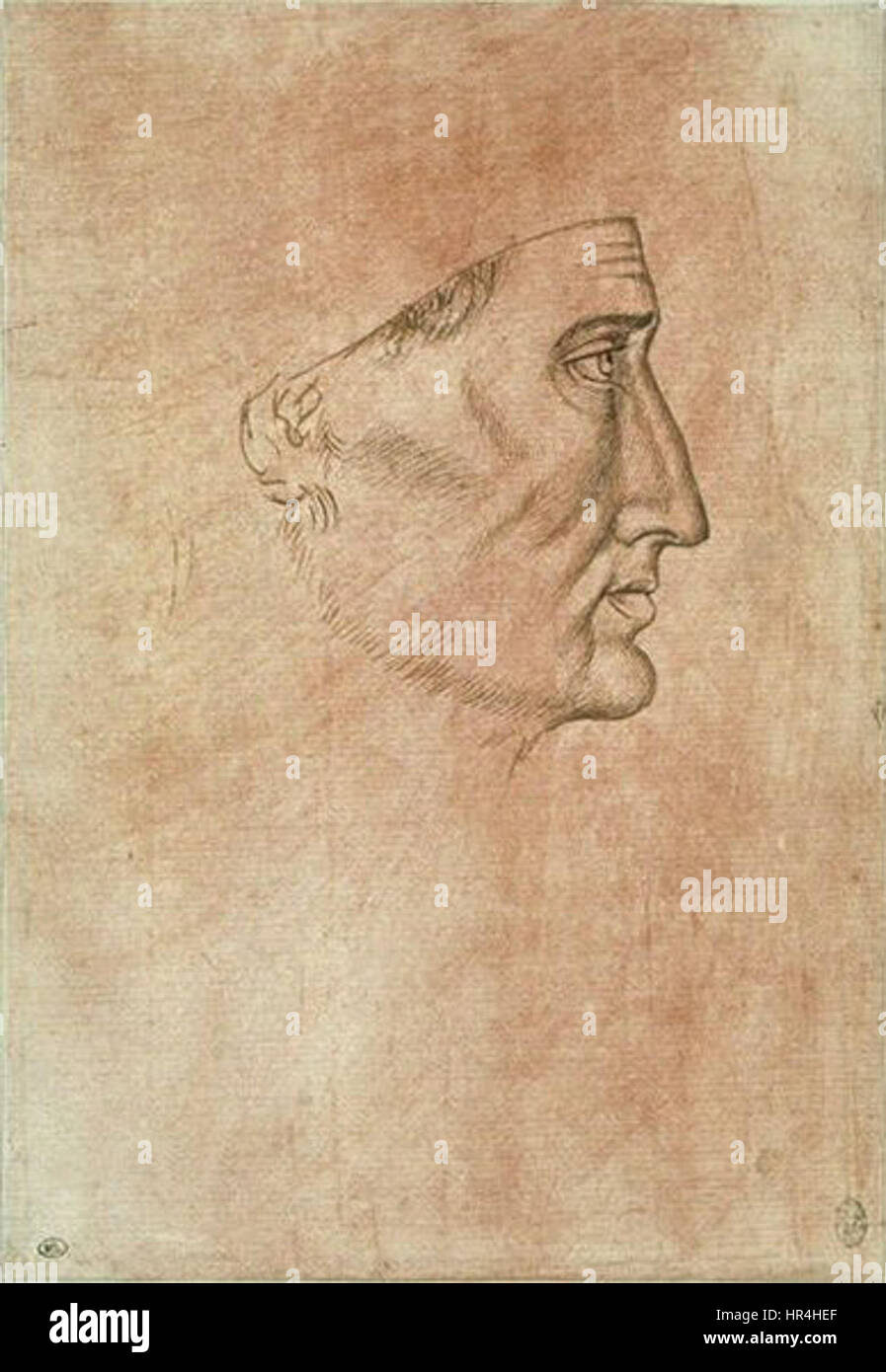 Codex design hi-res stock photography and images - Alamy