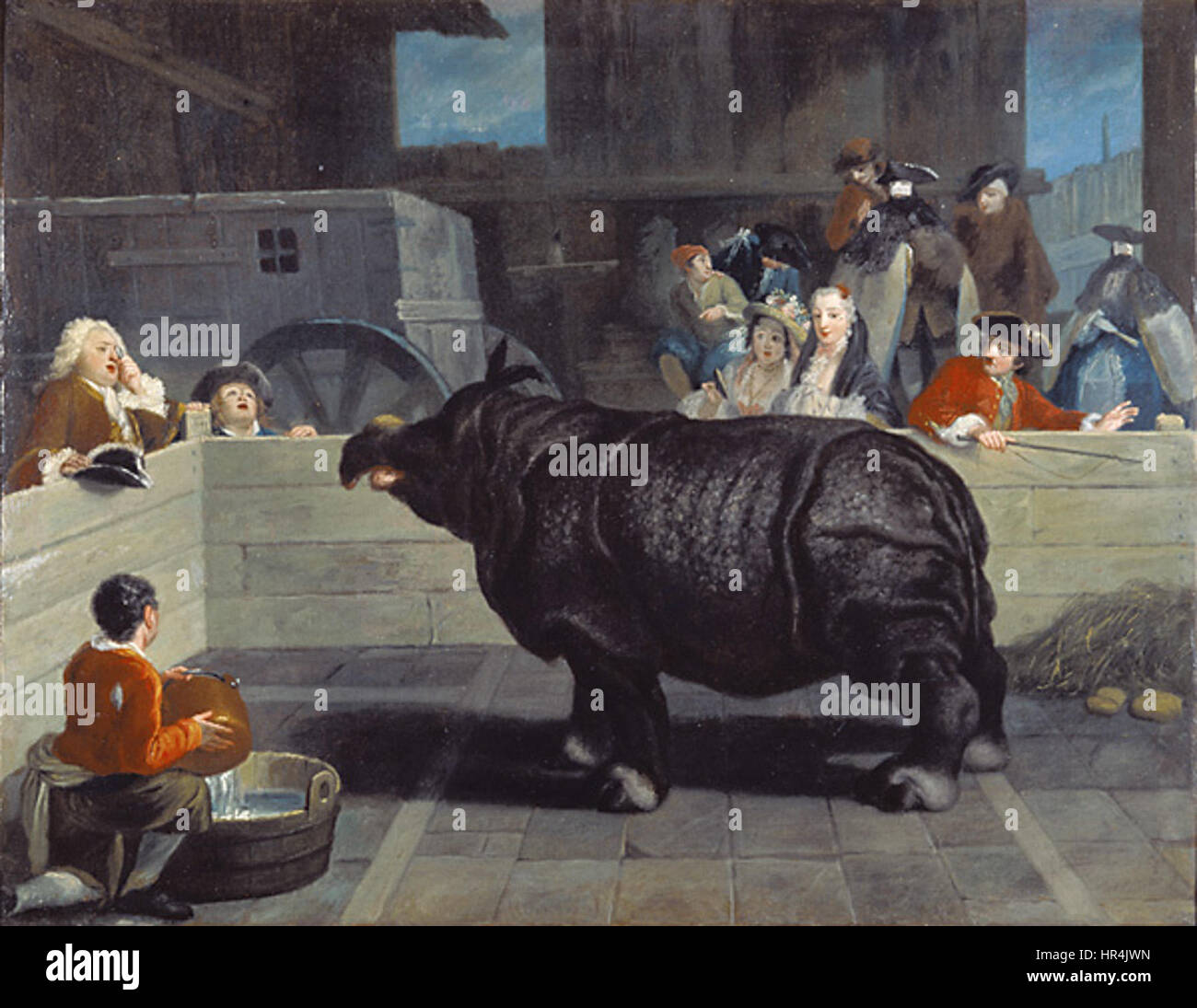 Pietro longhi rhinoceros hi-res stock photography and images - Alamy