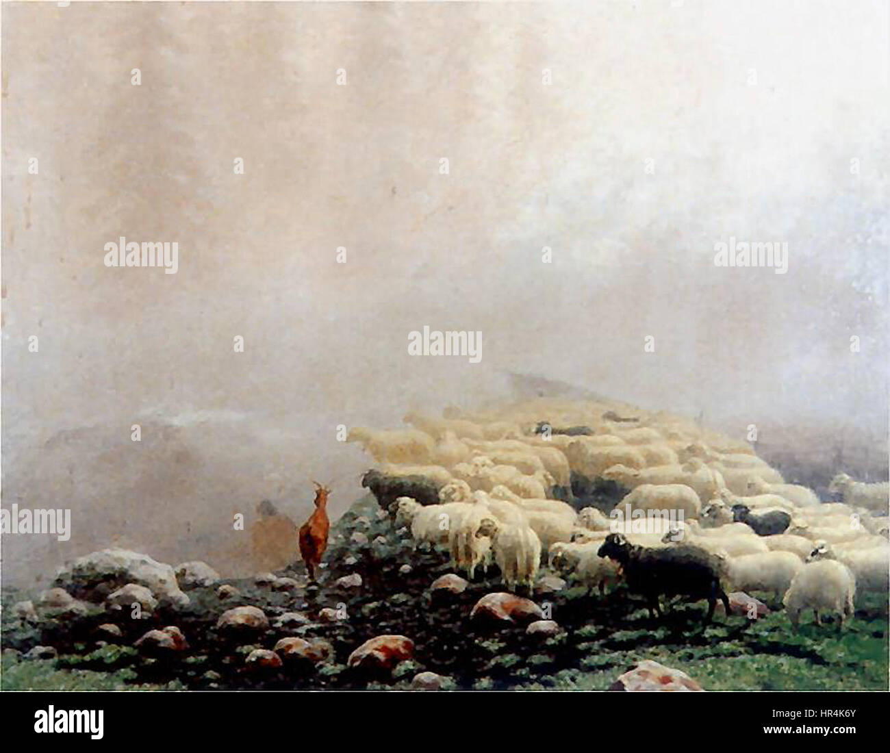Owce we mgle Stock Photo - Alamy