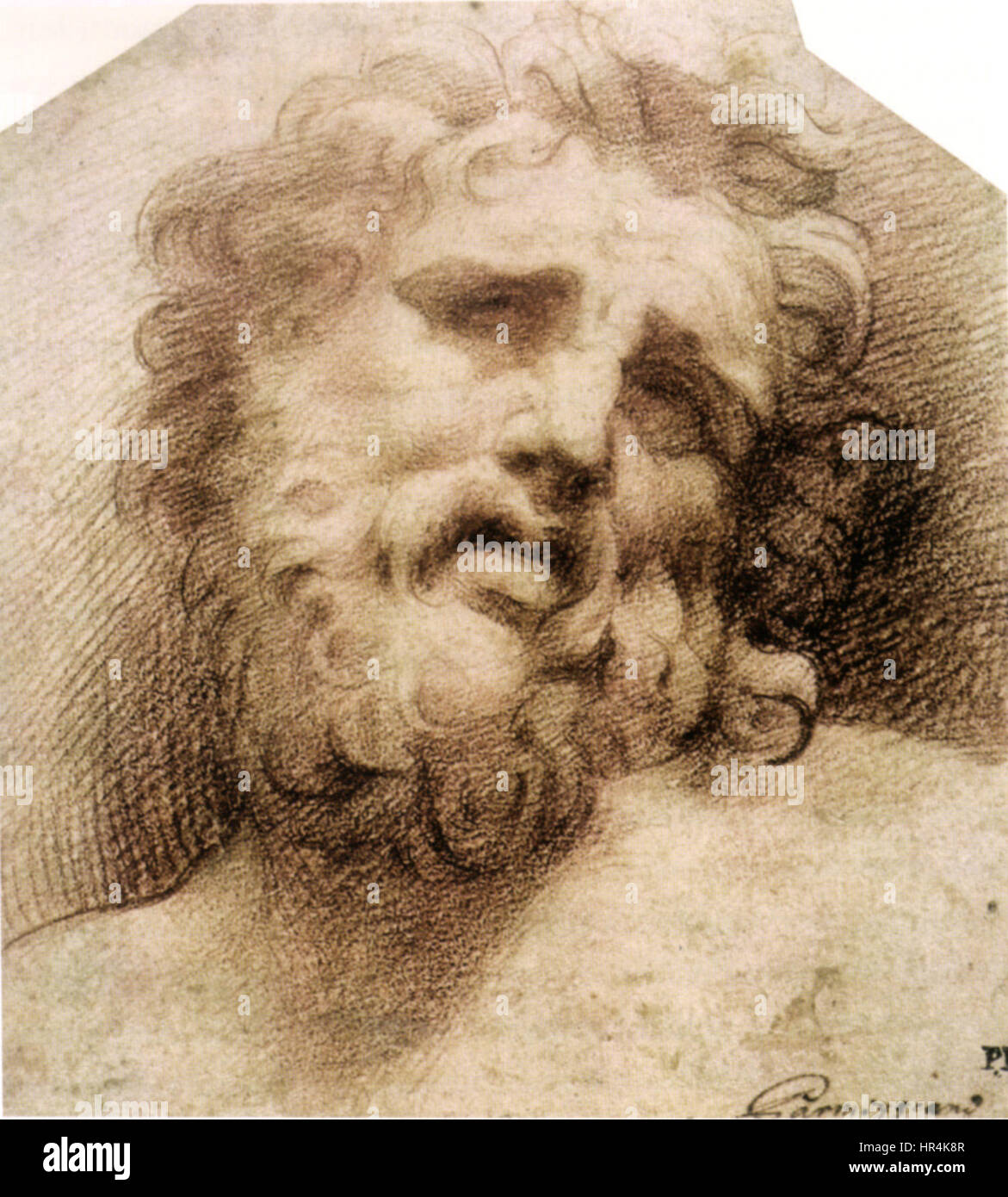 The 'Testa del Laocoonte' by Parmigianino is a study of Laocoön's head ...