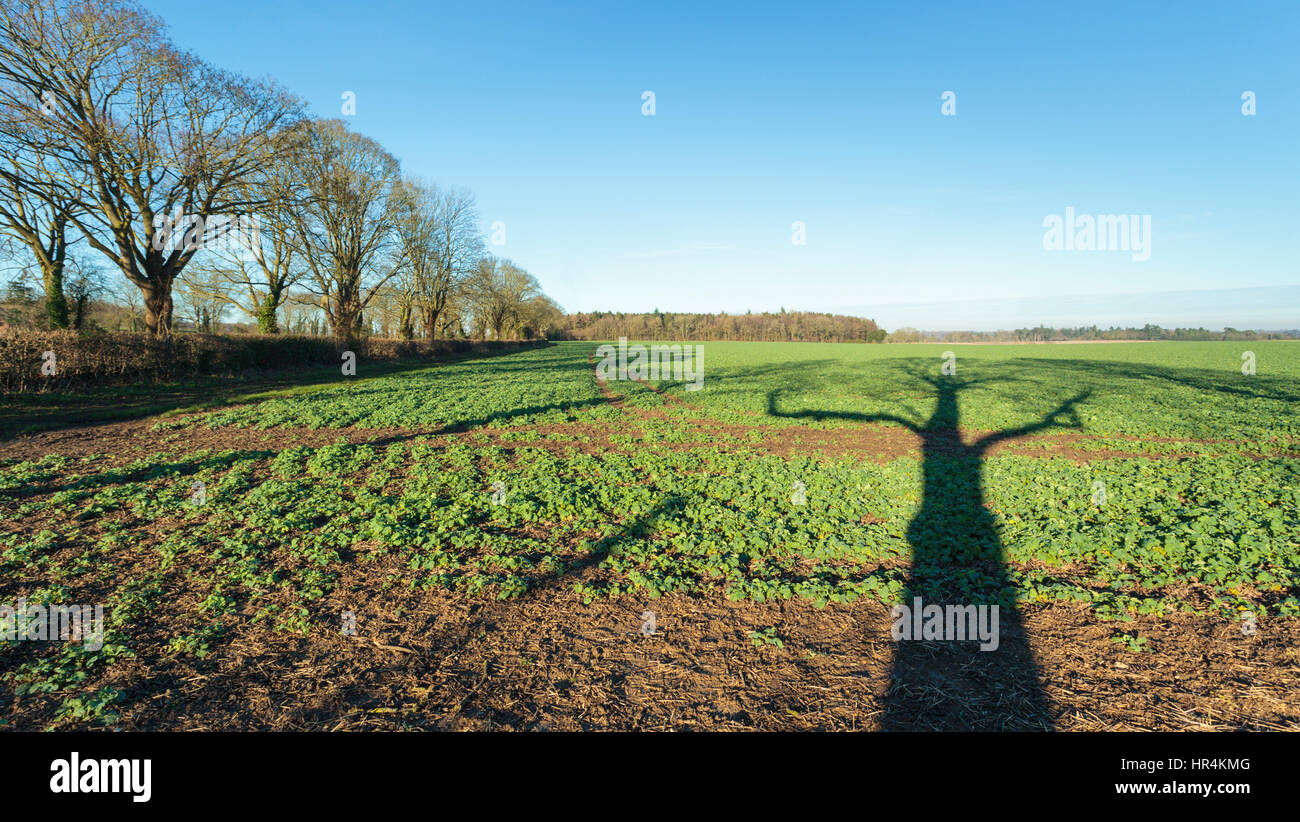 Panorama farm field on summer hi-res stock photography and images - Alamy