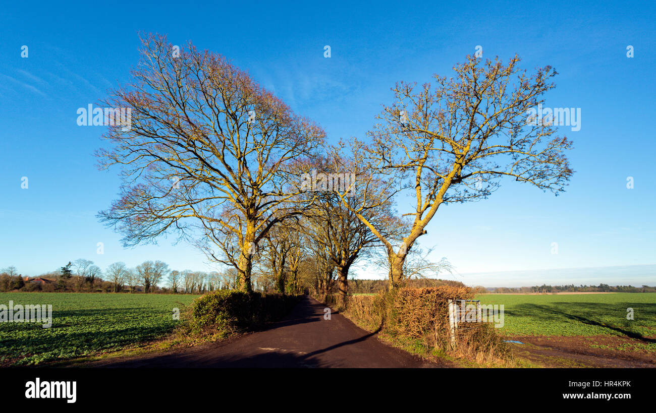 Chilterns landscape road hi-res stock photography and images - Alamy