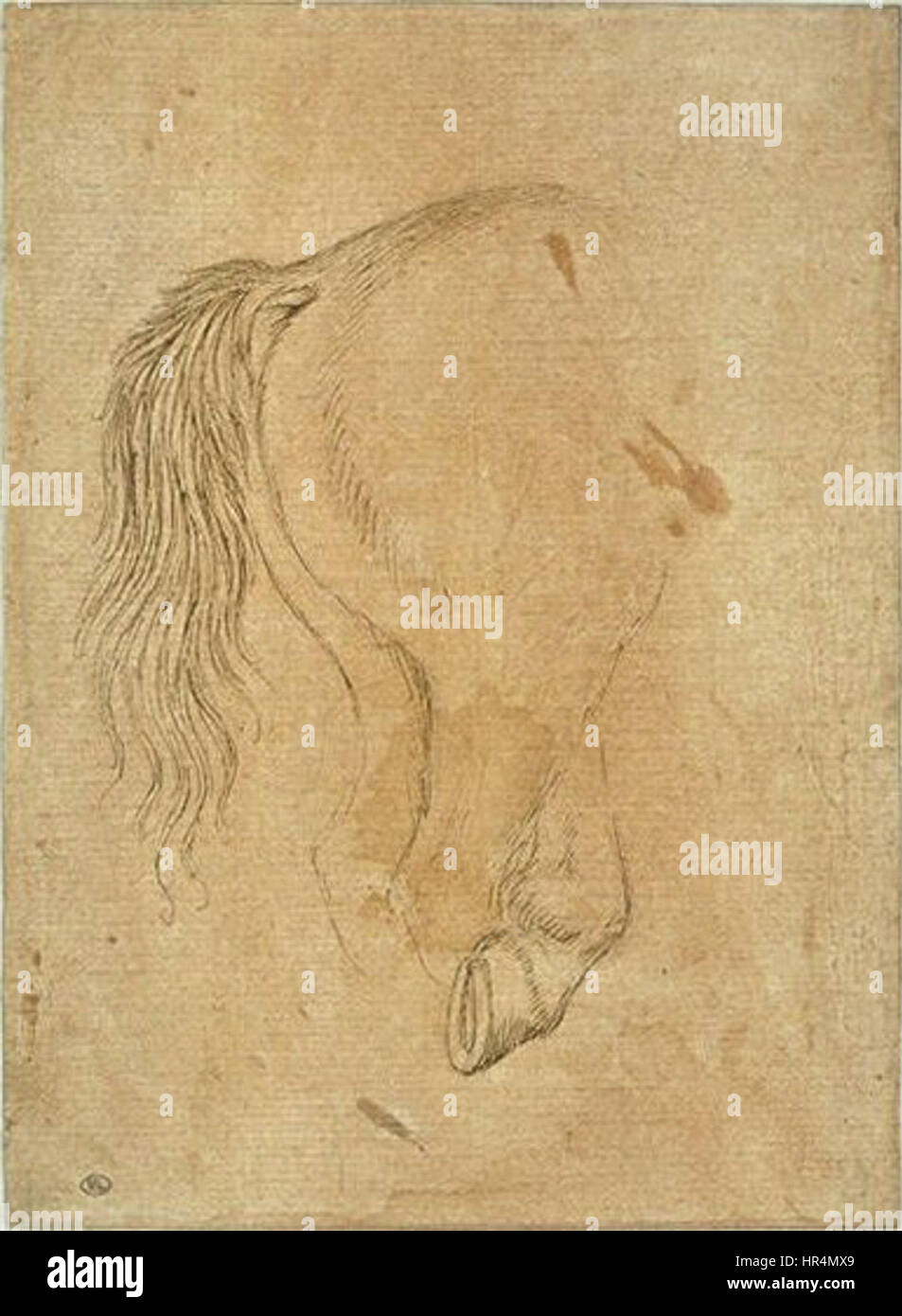 The 'Codex Vallardi 2365 r' by Pisanello is a manuscript featuring his ...