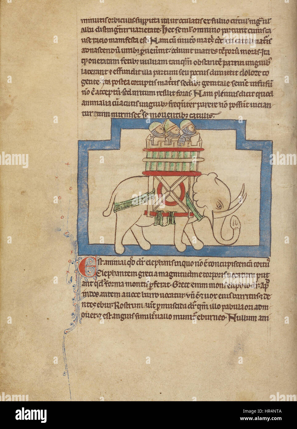 The 'Northumberland Bestiary' f17v page depicts various animals in a ...