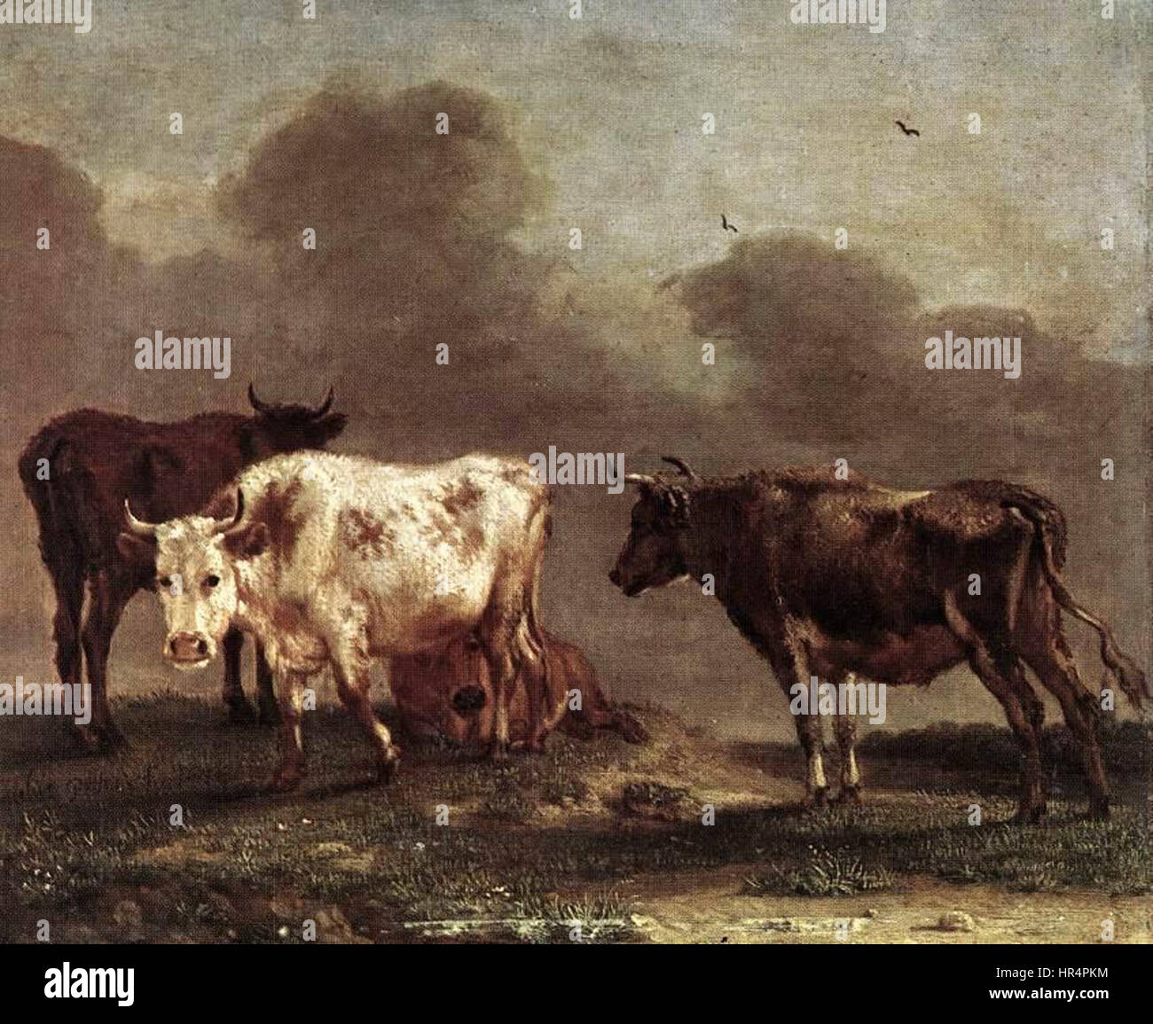 Paulus Potter - Cows in a Meadow Stock Photo - Alamy