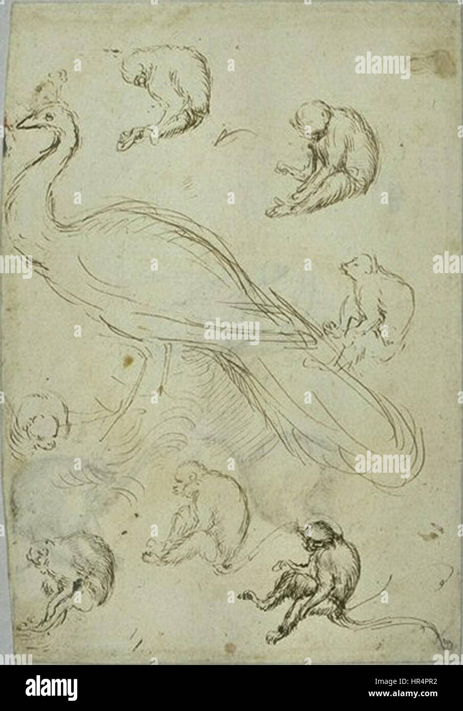Pisanello’s 'Codex Vallardi 2389 r' is a manuscript illustrating ...