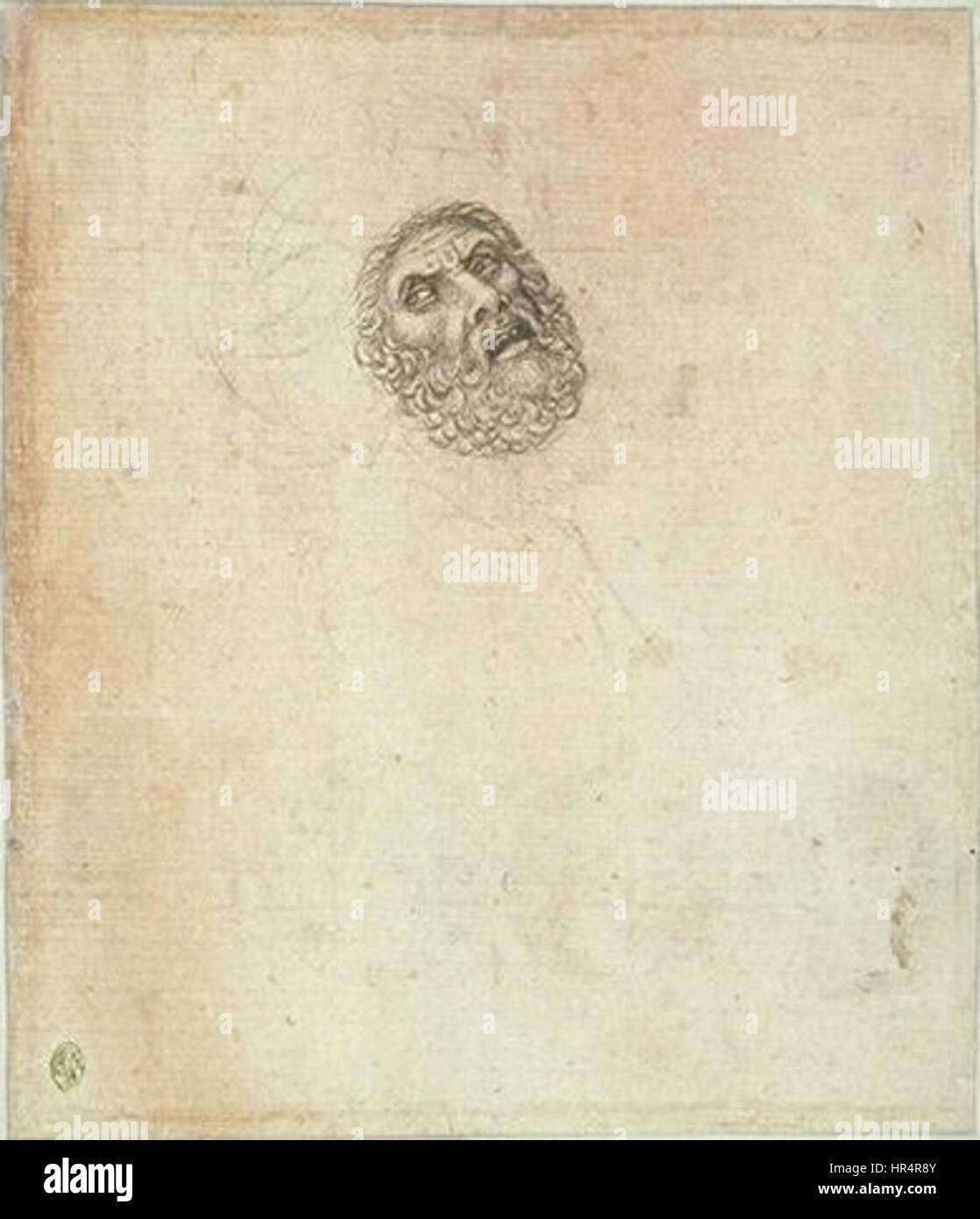 The Codex Vallardi 2315 v by Pisanello is a detailed manuscript ...