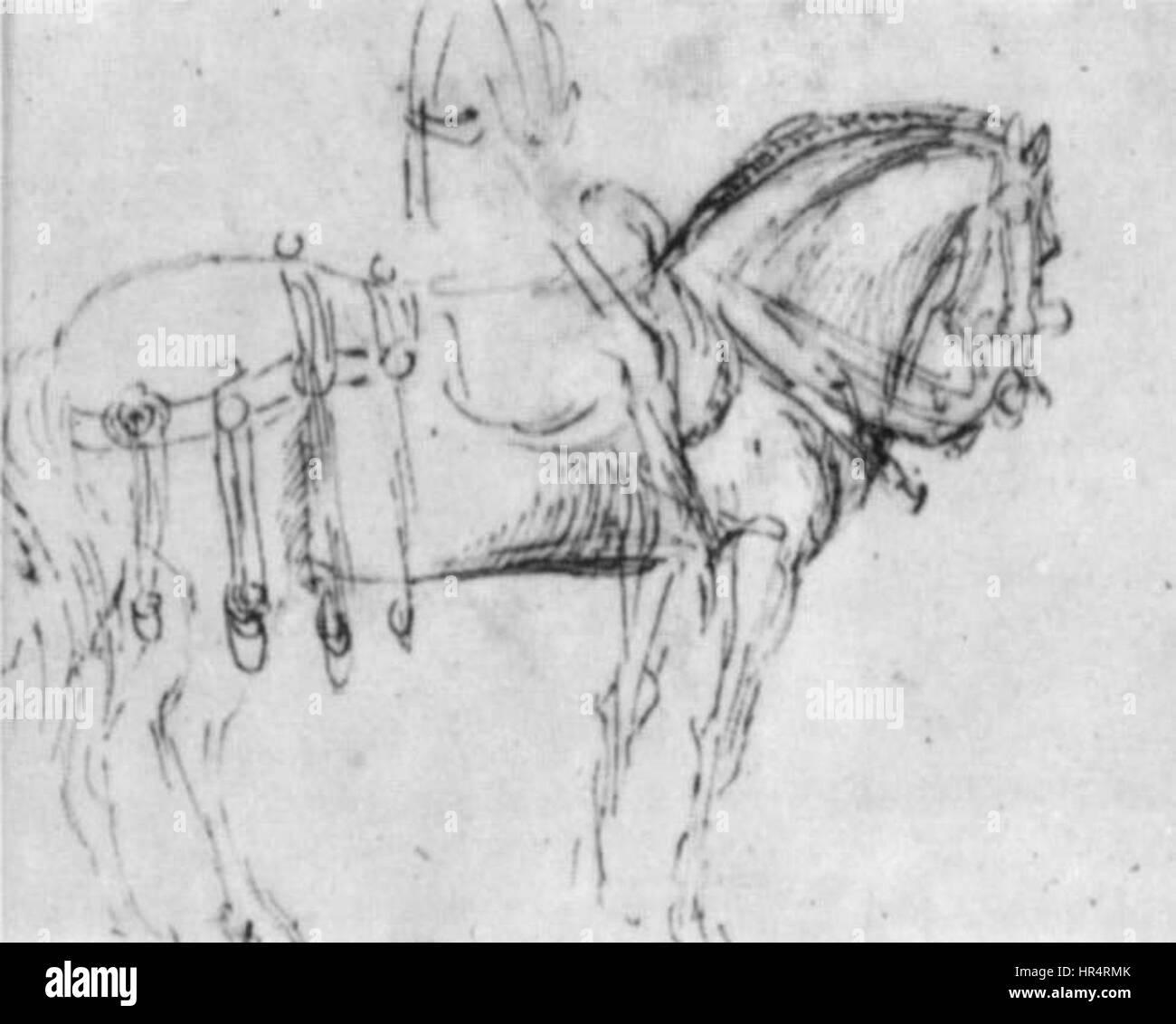 Pisanello’s 'Disegni' (drawings) housed in the Louvre, such as piece ...