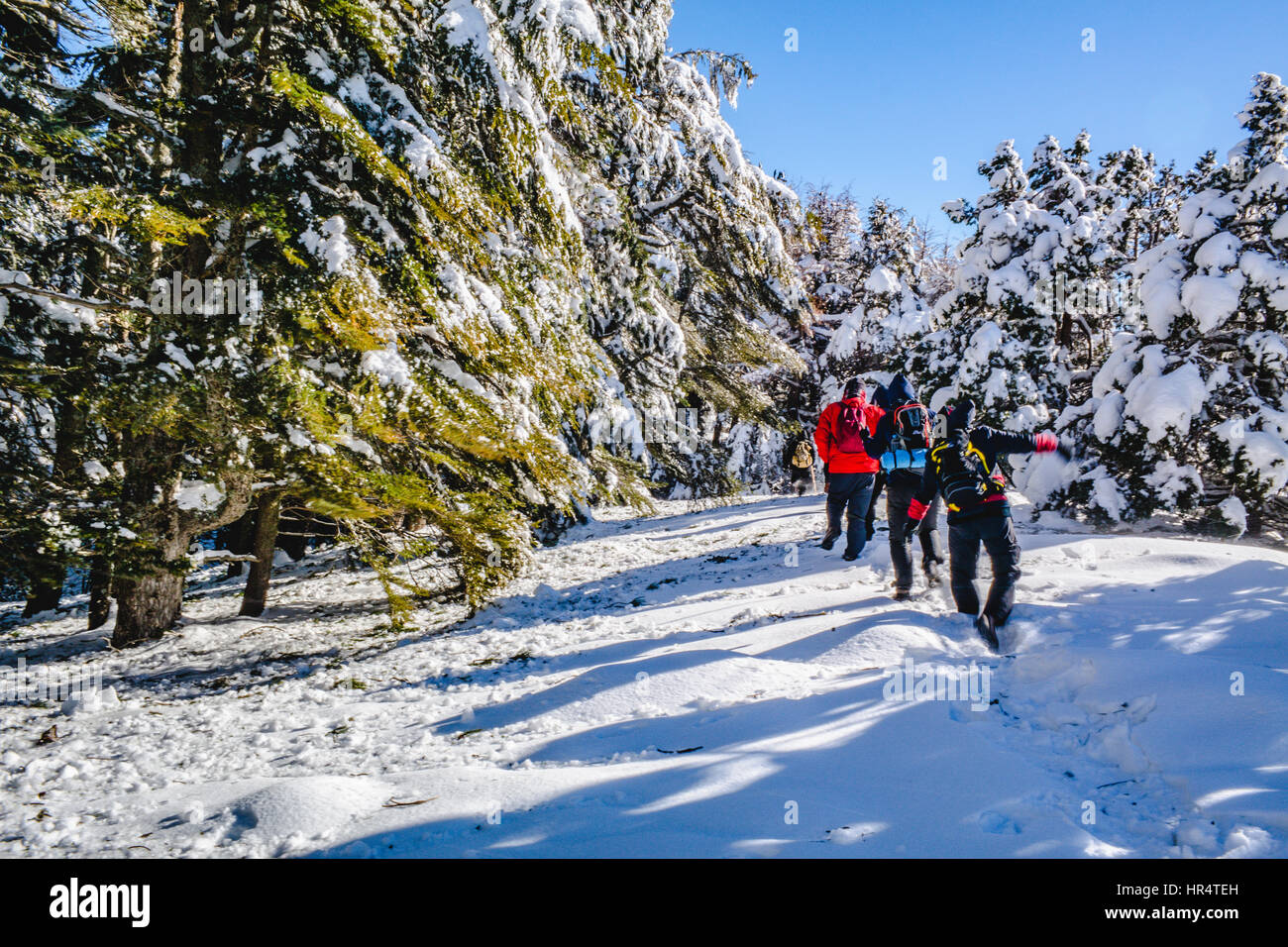 snow hiking group in winter scene nature Stock Photo - Alamy