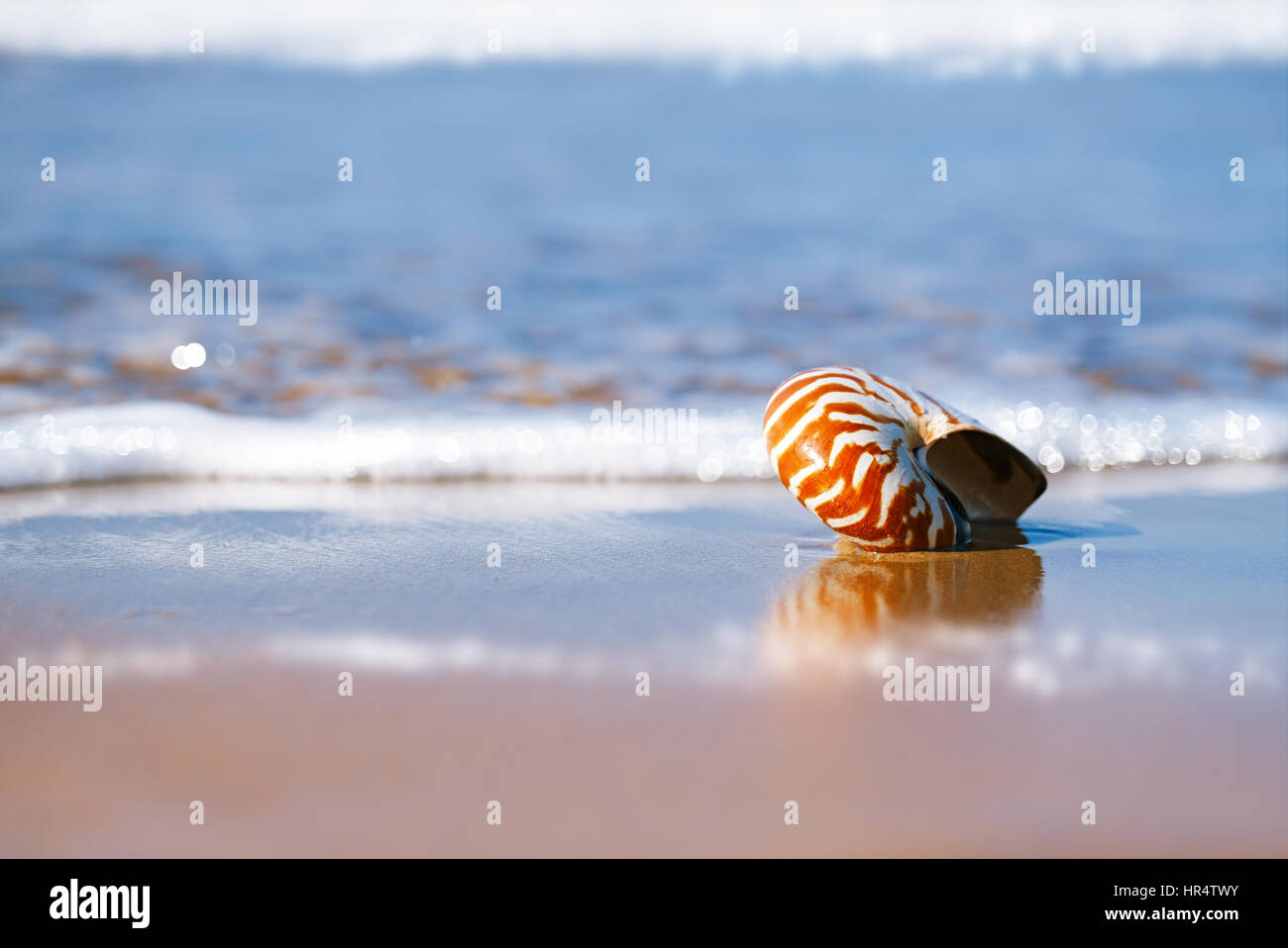 Marocco agadir beach hi-res stock photography and images - Alamy