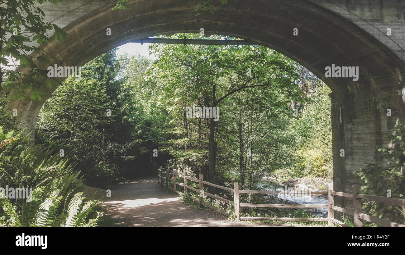 A dreamlike gateway path walkway into nature wilderness. Under the ...