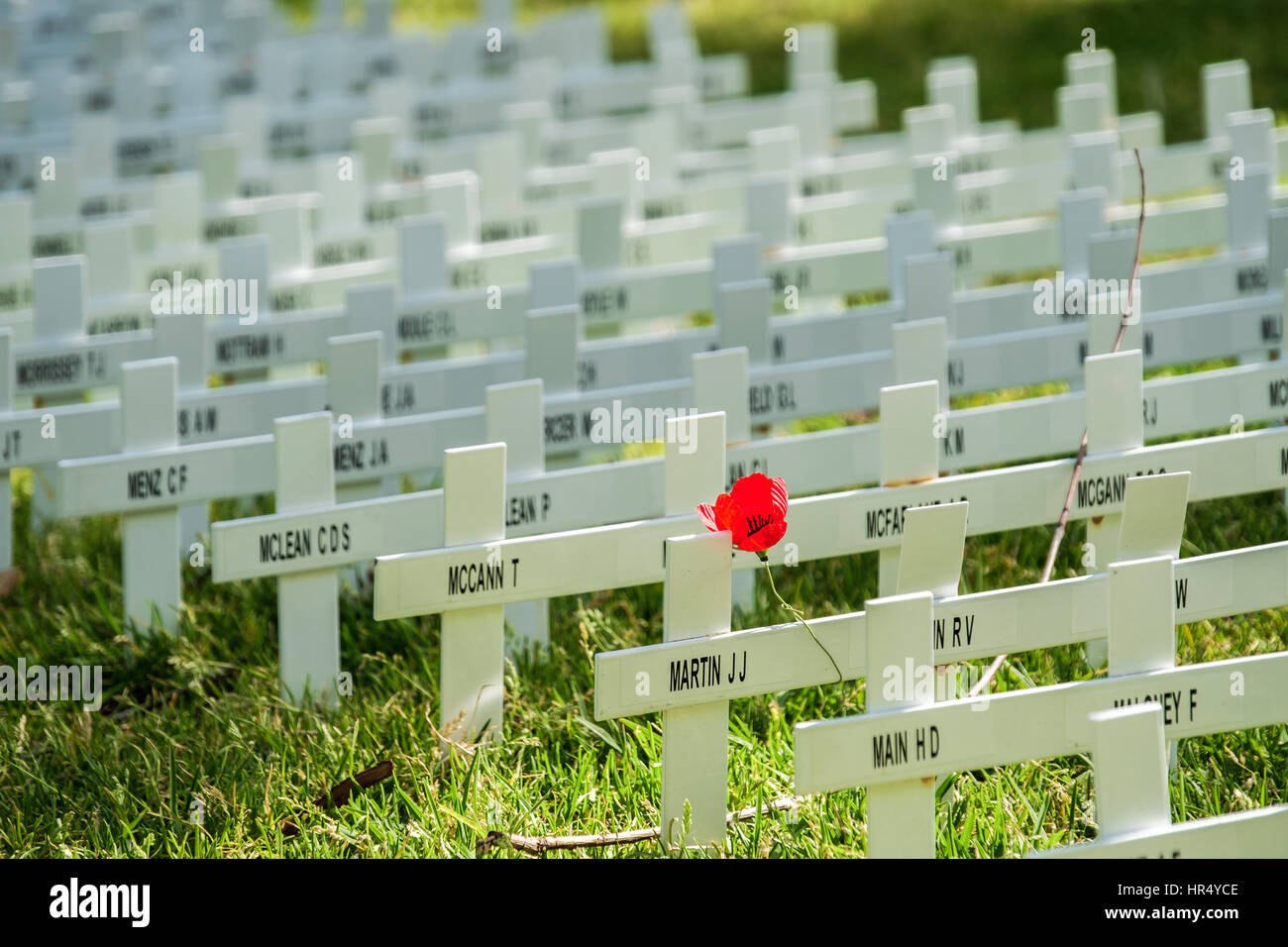Adelaide, Australia - November 11, 2016: Remembrance Day traditional ...