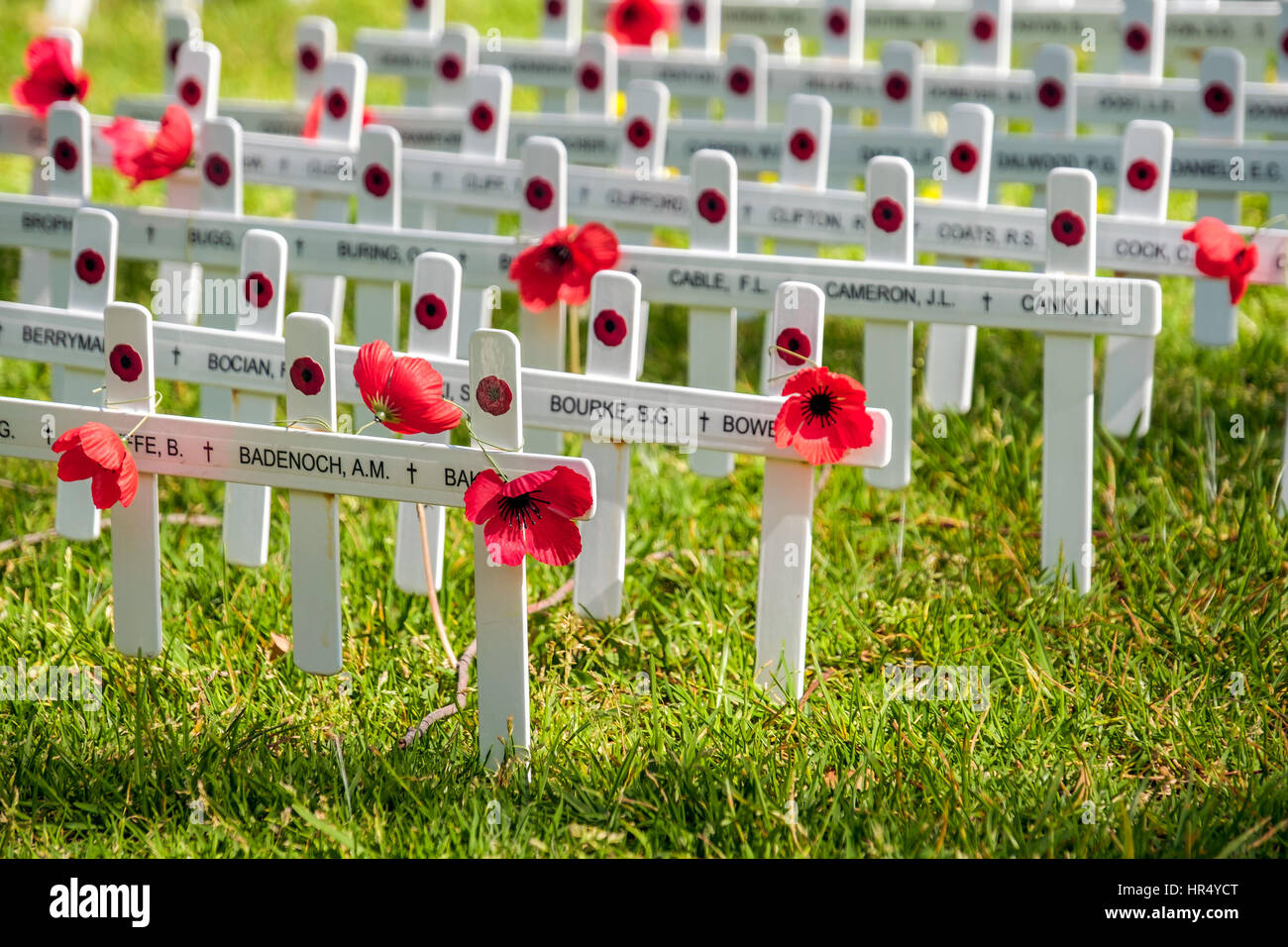 Adelaide, Australia - November 11, 2016: Remembrance Day traditional ...