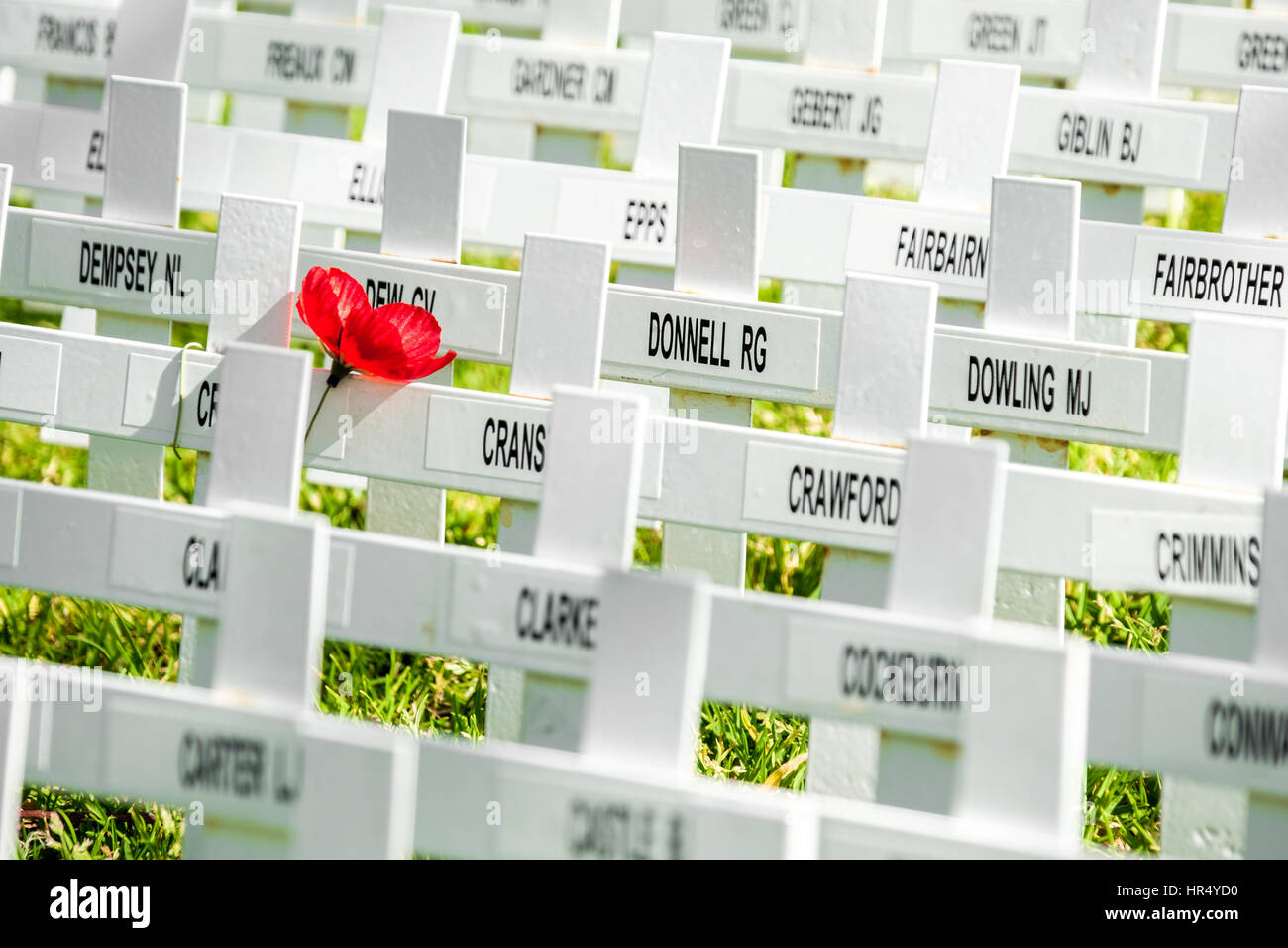 Adelaide, Australia - November 11, 2016: Remembrance Day traditional ...
