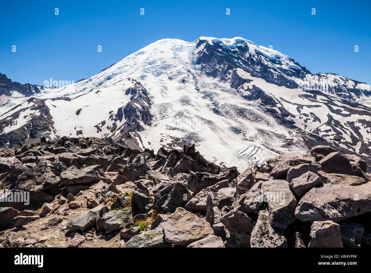 The southeast side of Mount Rainier as seen from the top of 3rd ...