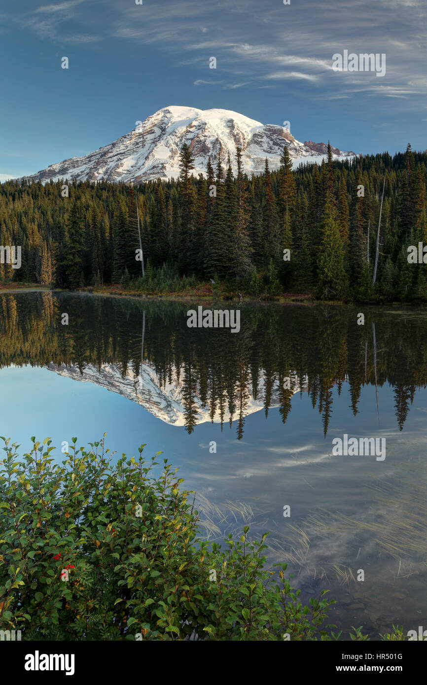 Reflection lake mount rainier hi-res stock photography and images - Alamy
