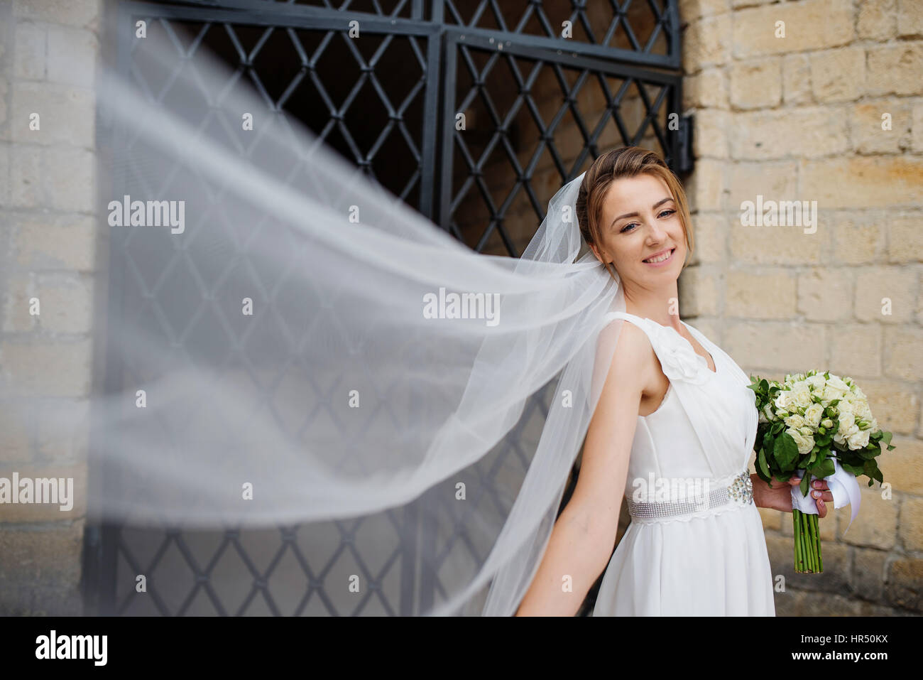 Bride with long veil near old wrought iron gates Stock Photo - Alamy