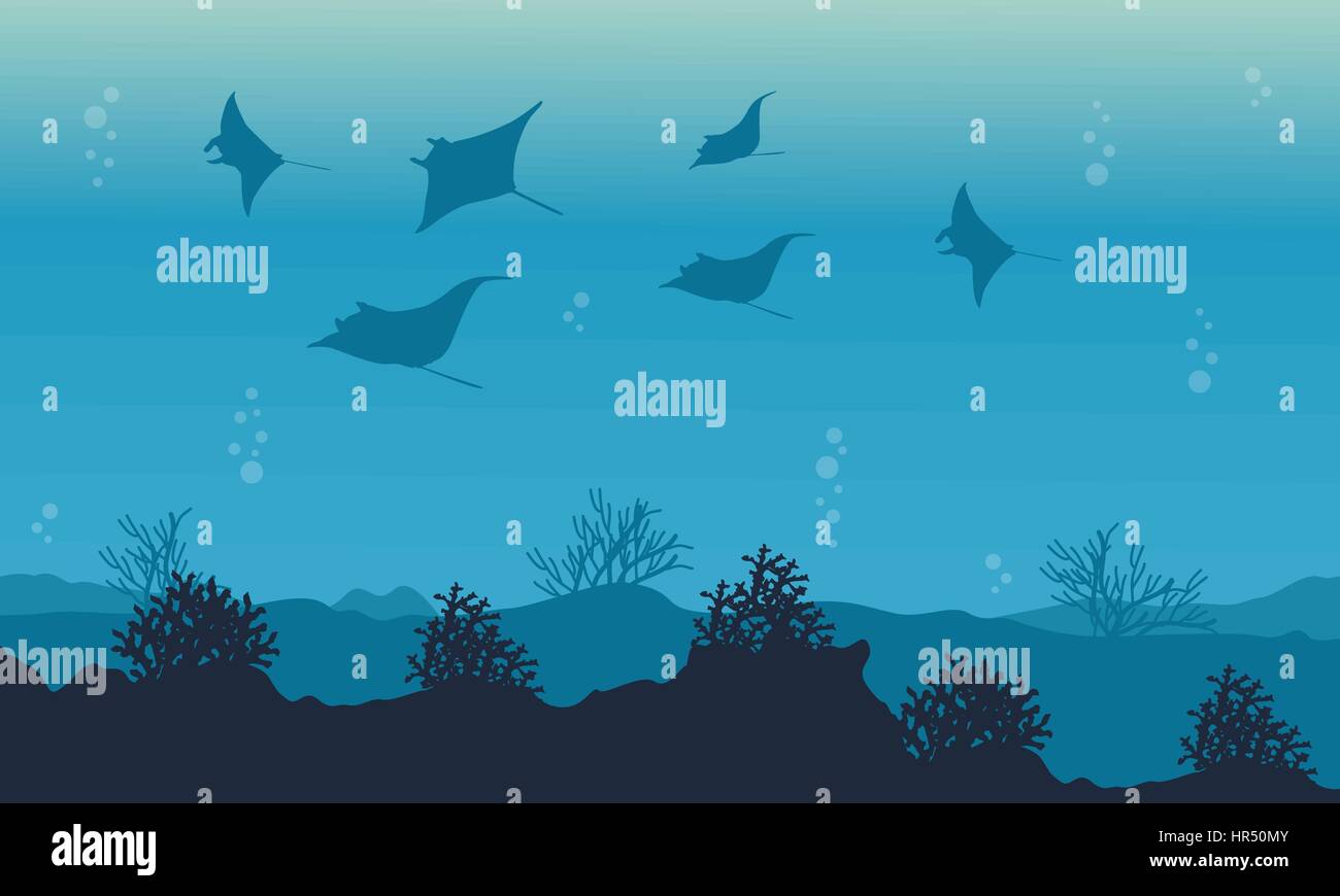 Underwater landscape wildlife stingray Stock Vector Images - Alamy