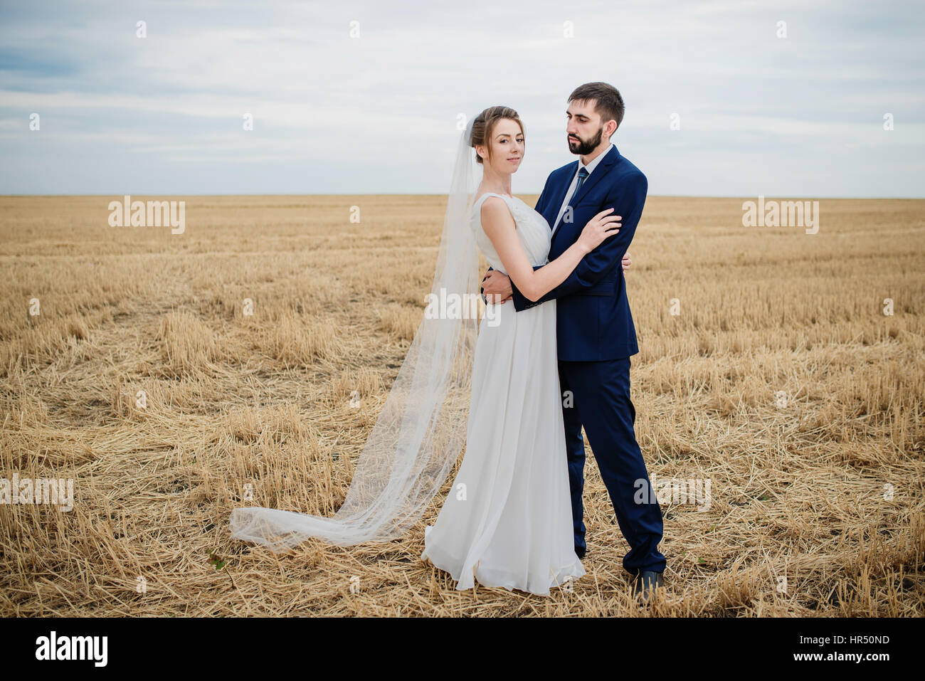 Wedding couple in love at wheat field with stubble Stock Photo - Alamy