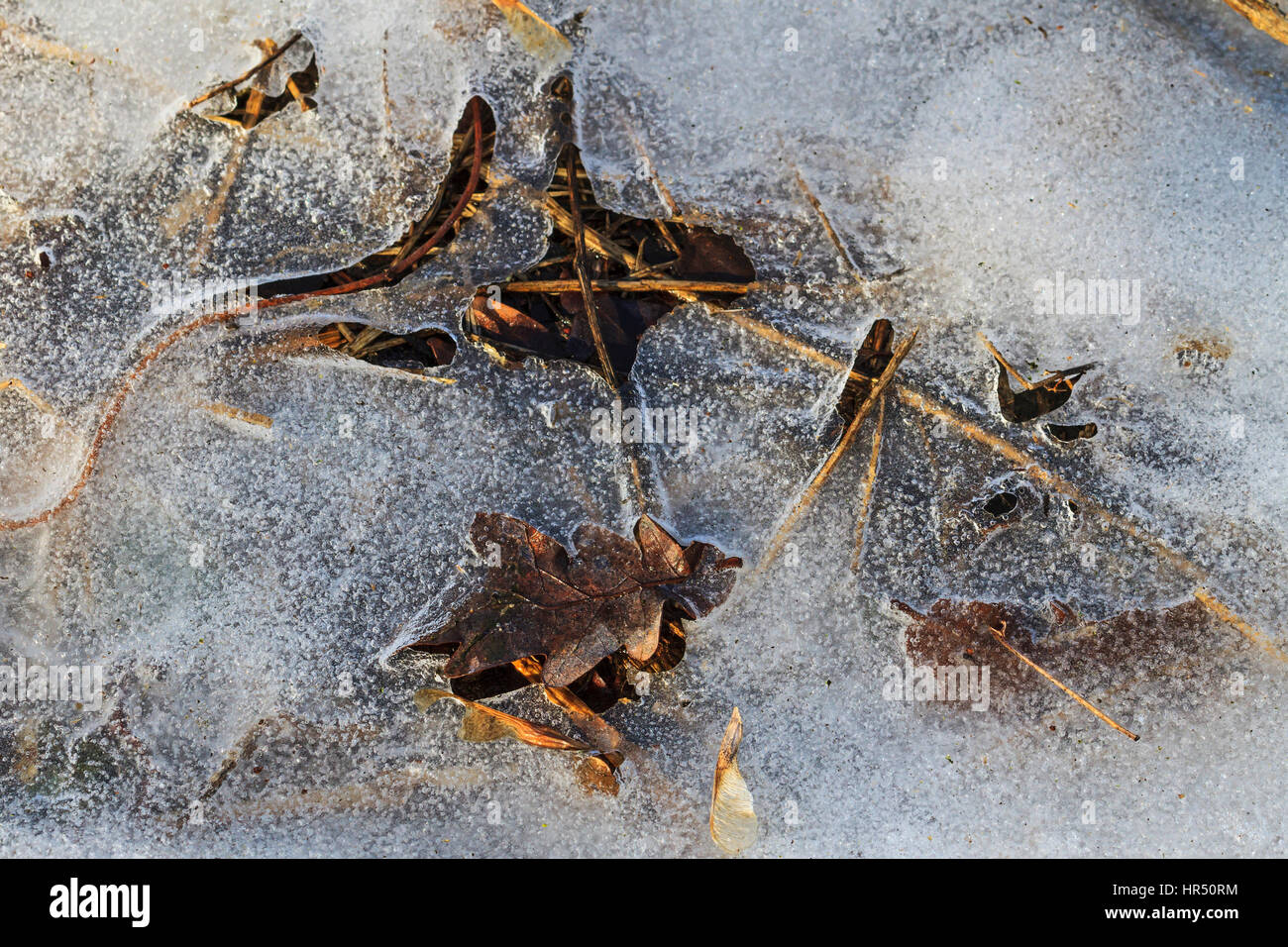 spring warming melted the snow,texture, ice, snow, the onset of spring ...