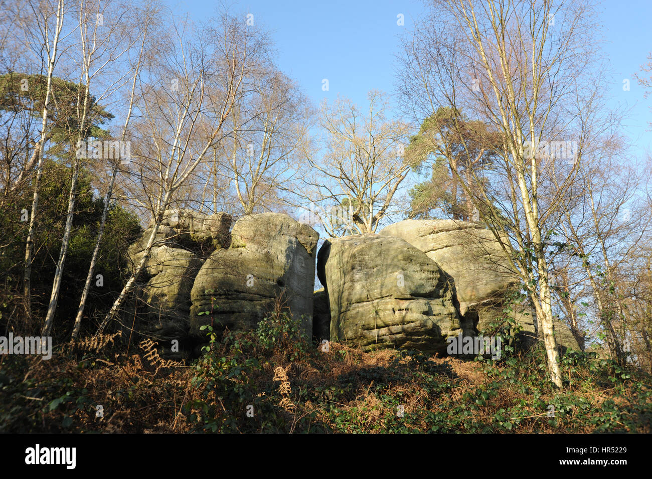 Eridge rock Sussex Stock Photo - Alamy