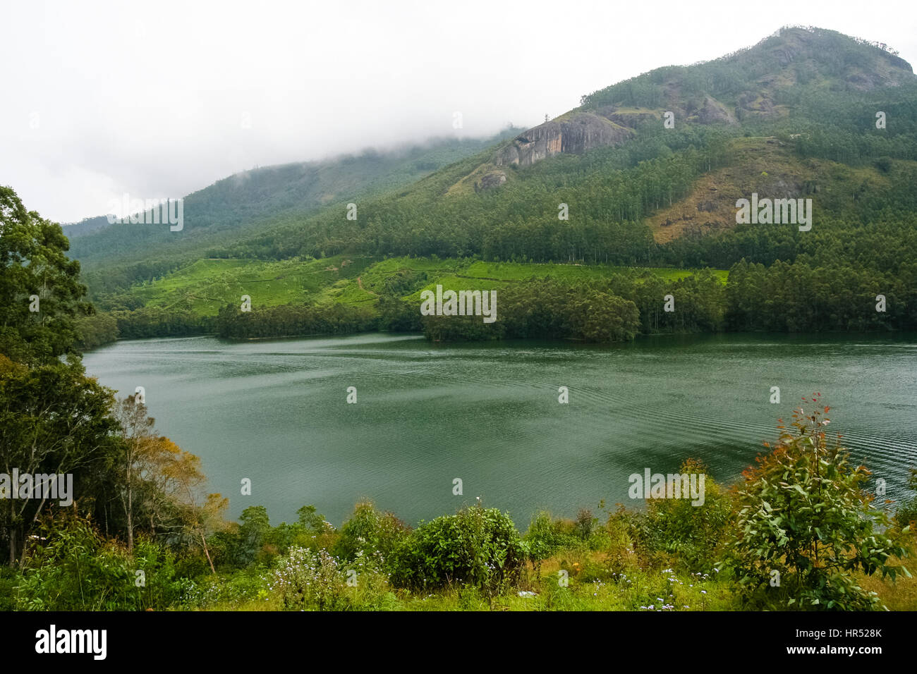 Munnar lake hi-res stock photography and images - Alamy