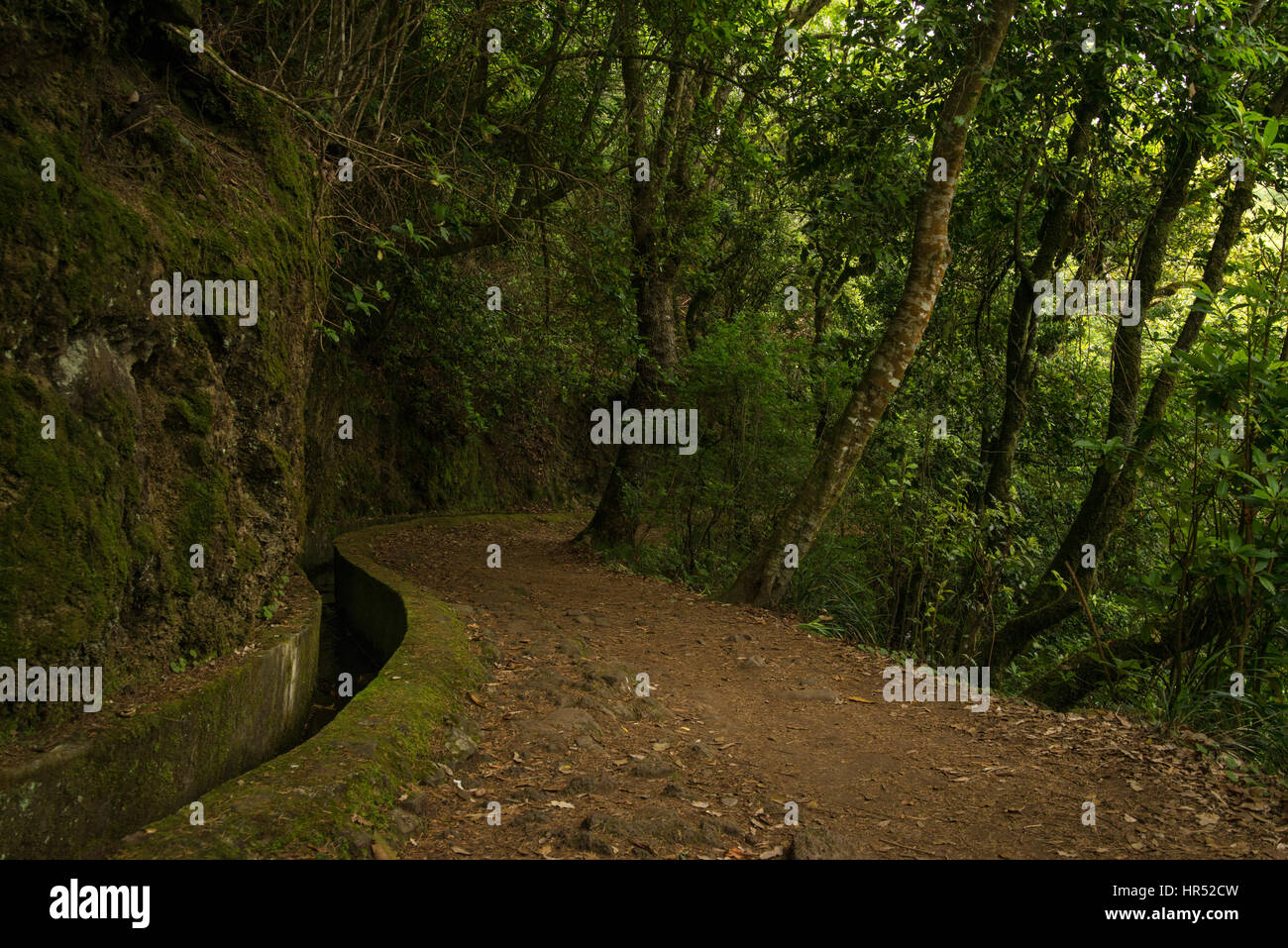 Scenic hiking path on Madeira island, Portugal Stock Photo - Alamy