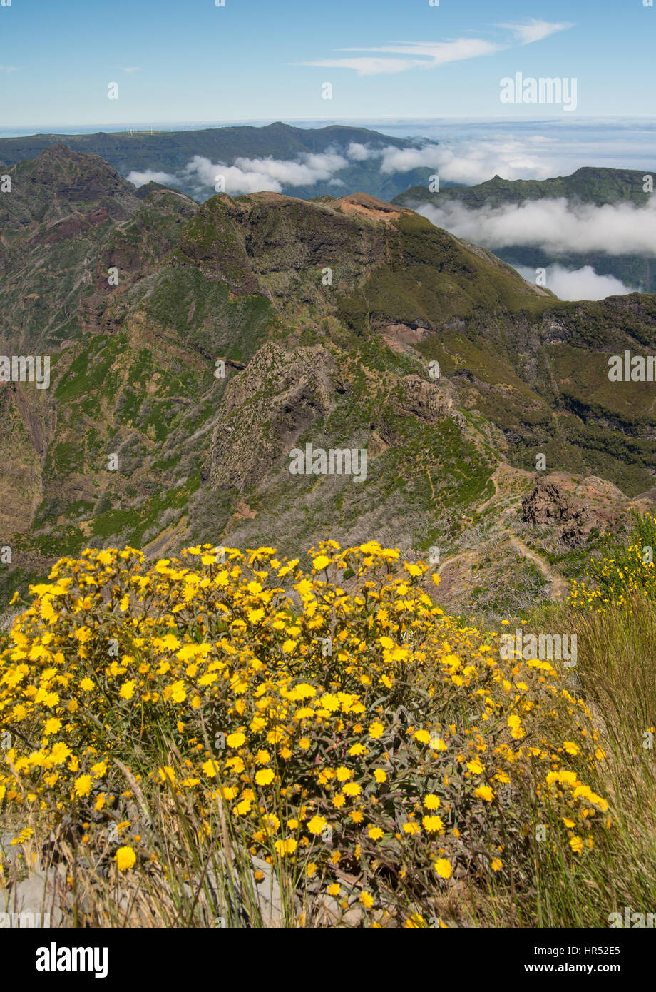 Scenic hiking path on Madeira island, Portugal Stock Photo - Alamy