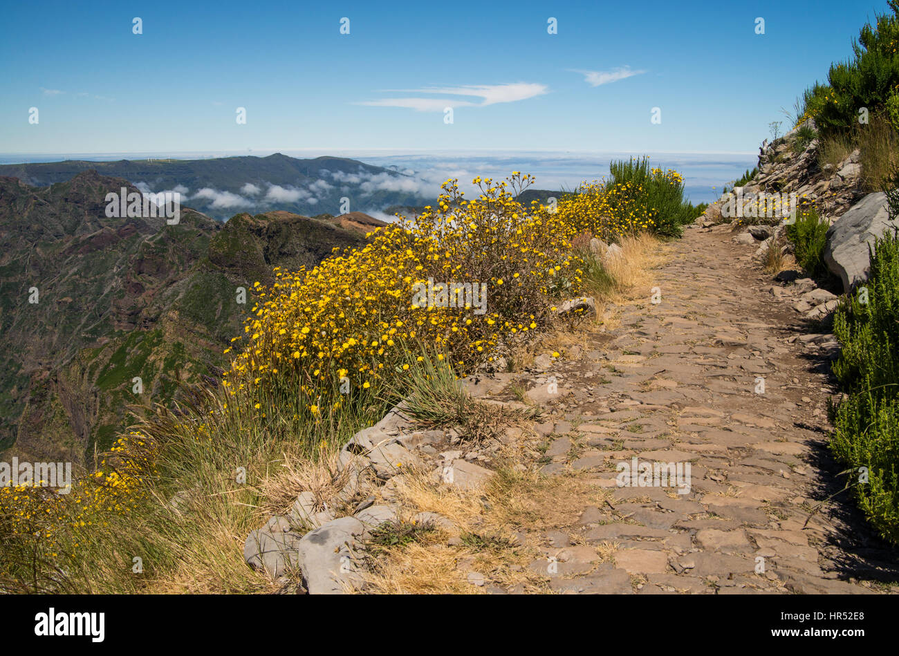 Scenic hiking path on Madeira island, Portugal Stock Photo - Alamy