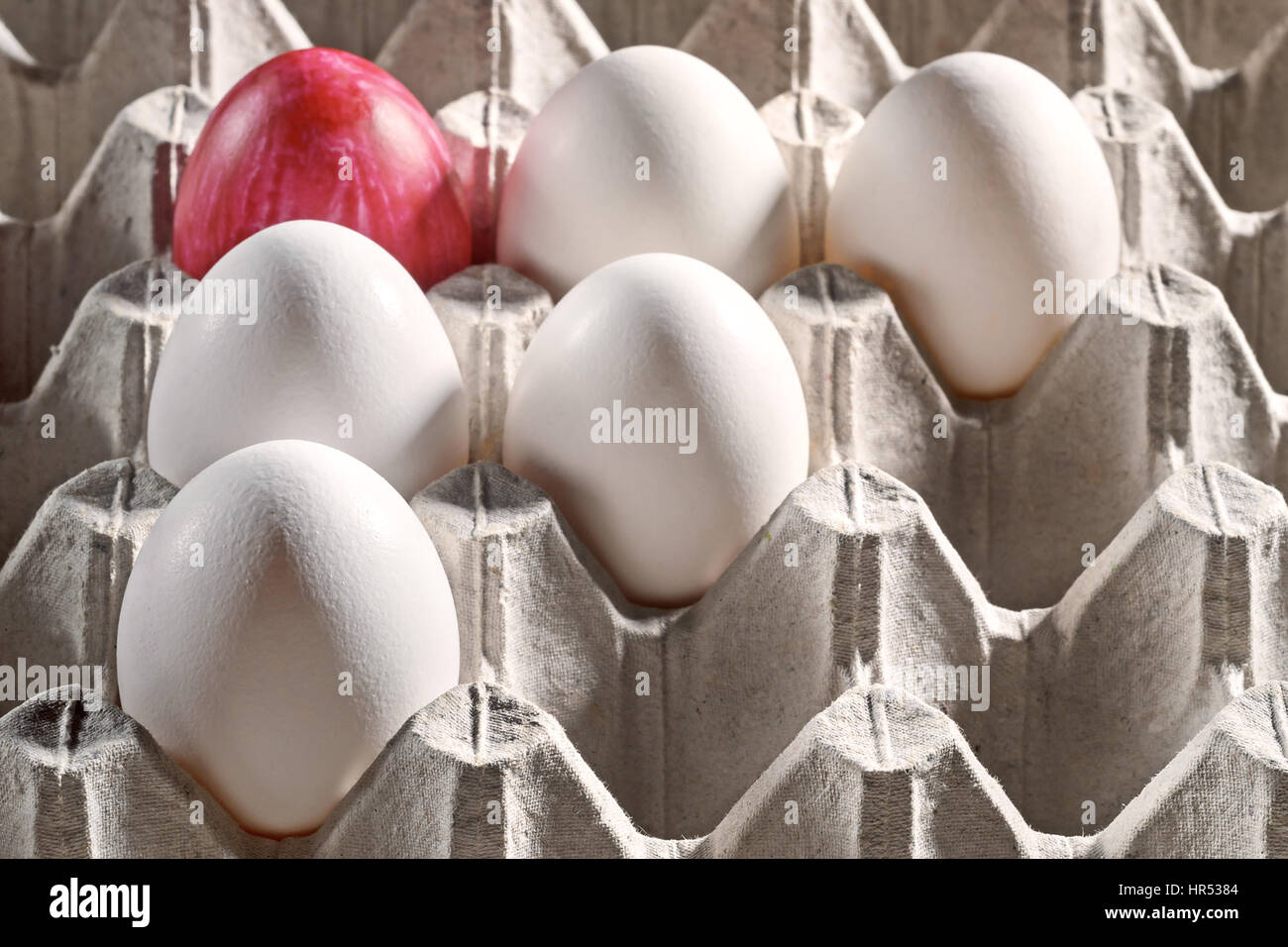 Whites and one red painted Easter egg in a cassette, tray or carton box ...