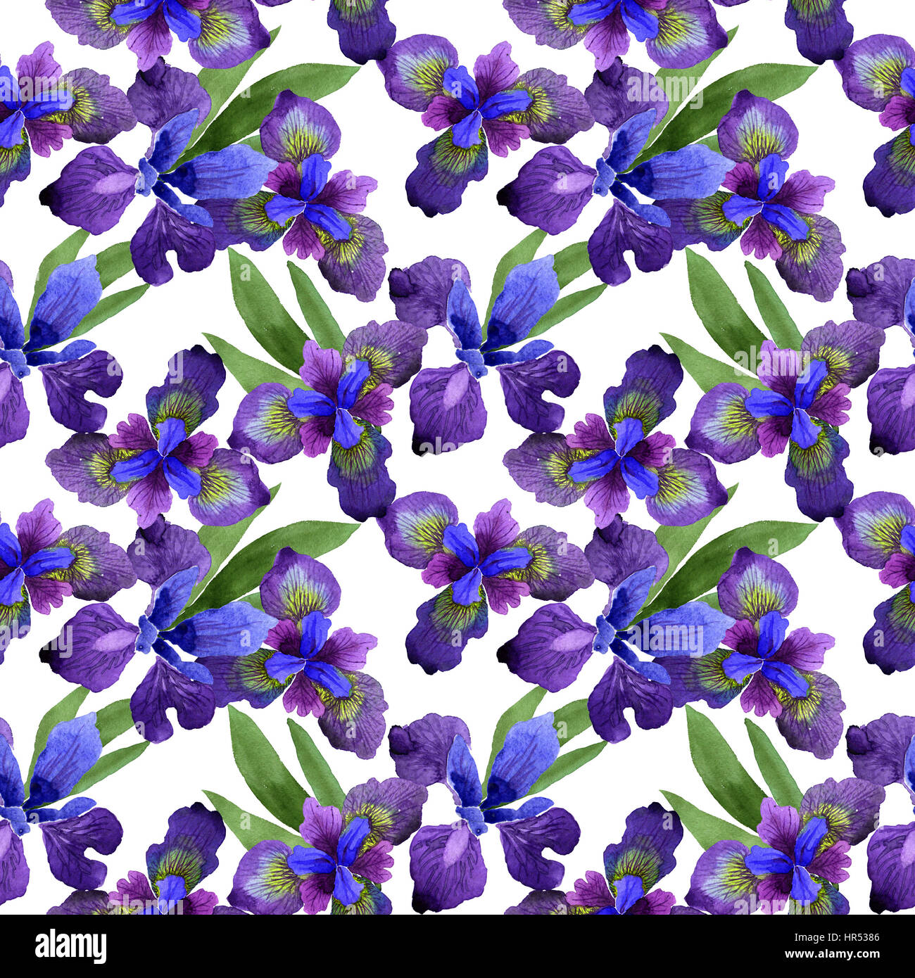 Wildflower iris flower pattern in a watercolor style isolated. Full ...