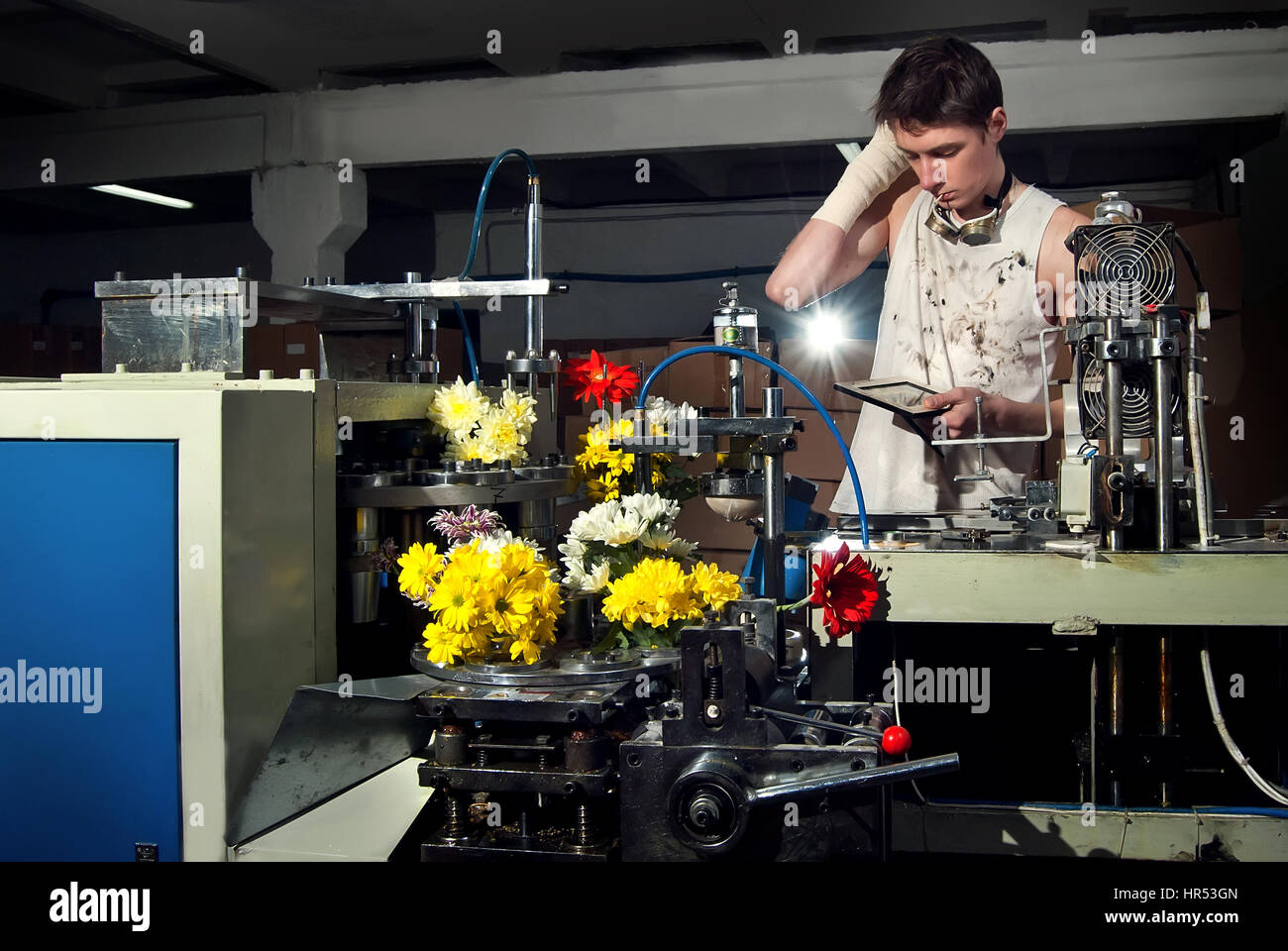 Flowers on the production of machines at the factory with the control ...