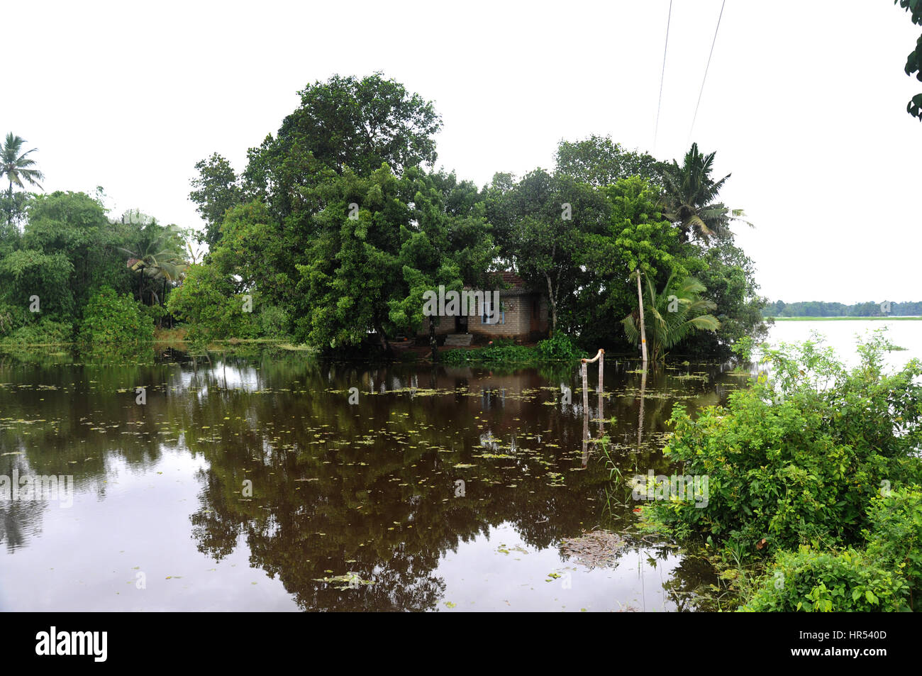Lake View Kuttanad Village, Alleppy, Kerala India (Photo Copyright © by ...