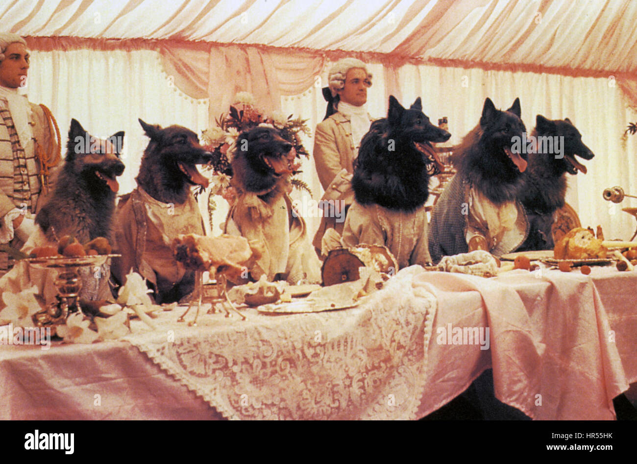 THE COMPANY OF WOLVES 1984 ITC film Stock Photo - Alamy