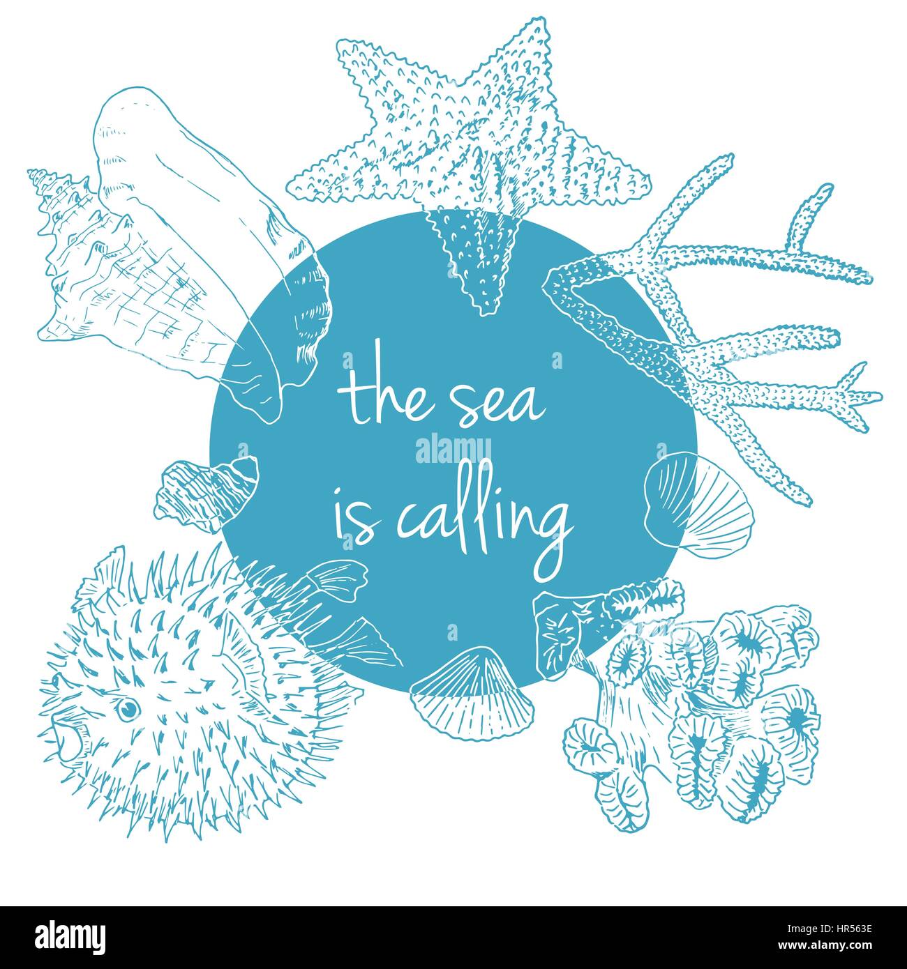 Seashells silhouette Stock Vector Images - Alamy